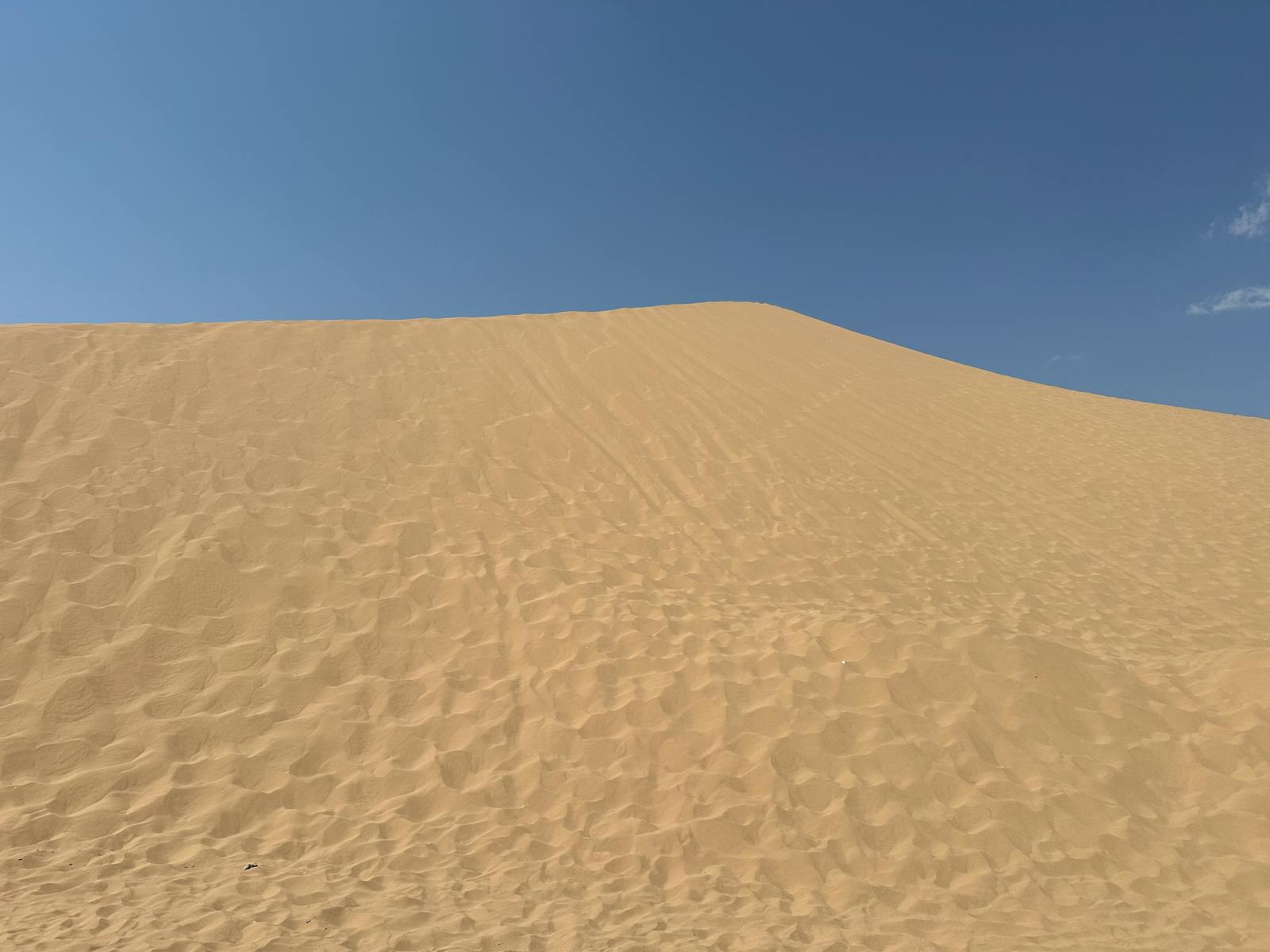 Sand Dune Photos, Download The BEST Free Sand Dune Stock Photos & HD Images