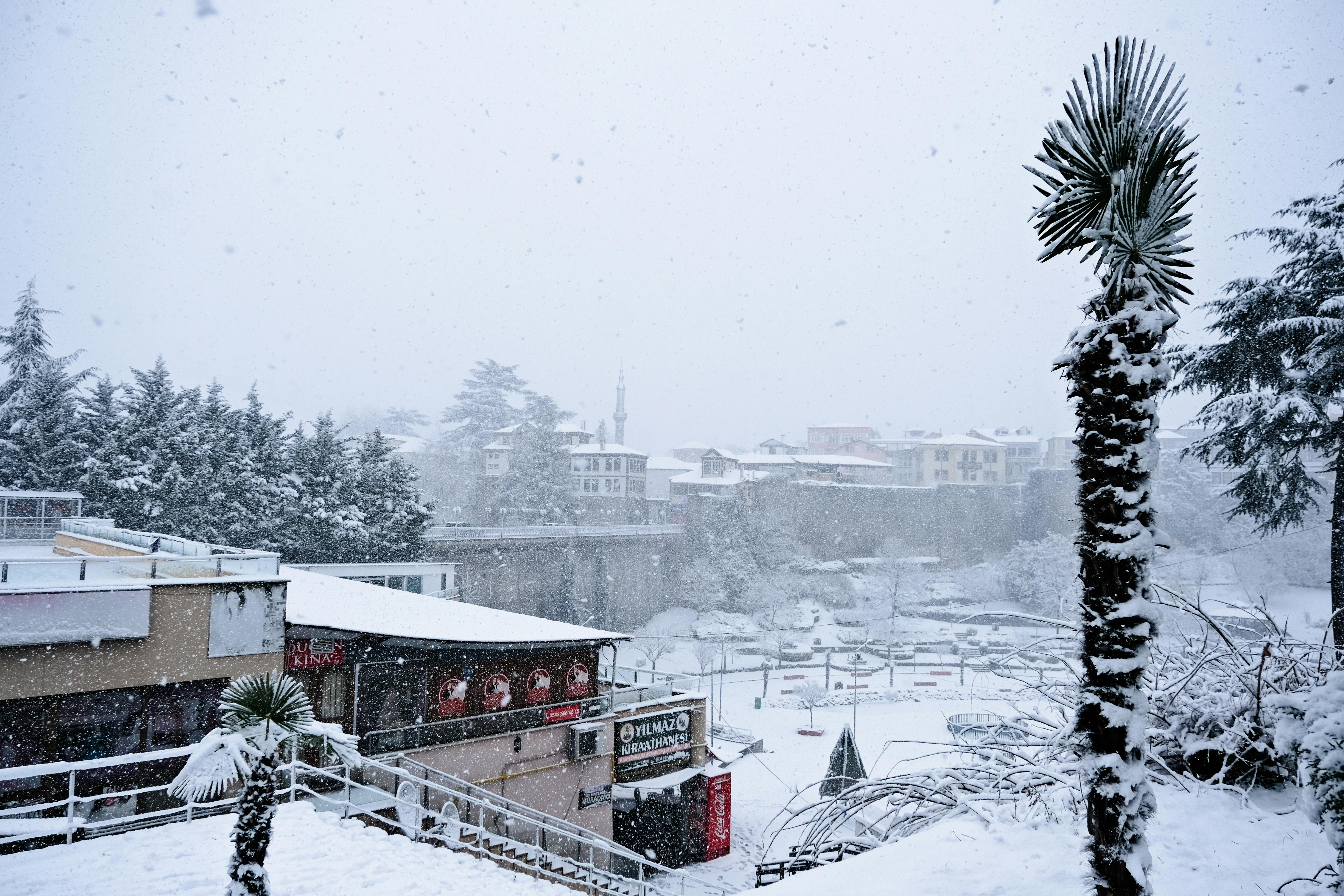 Winter Wonderland in Trabzon, Türkiye · Free Stock Photo