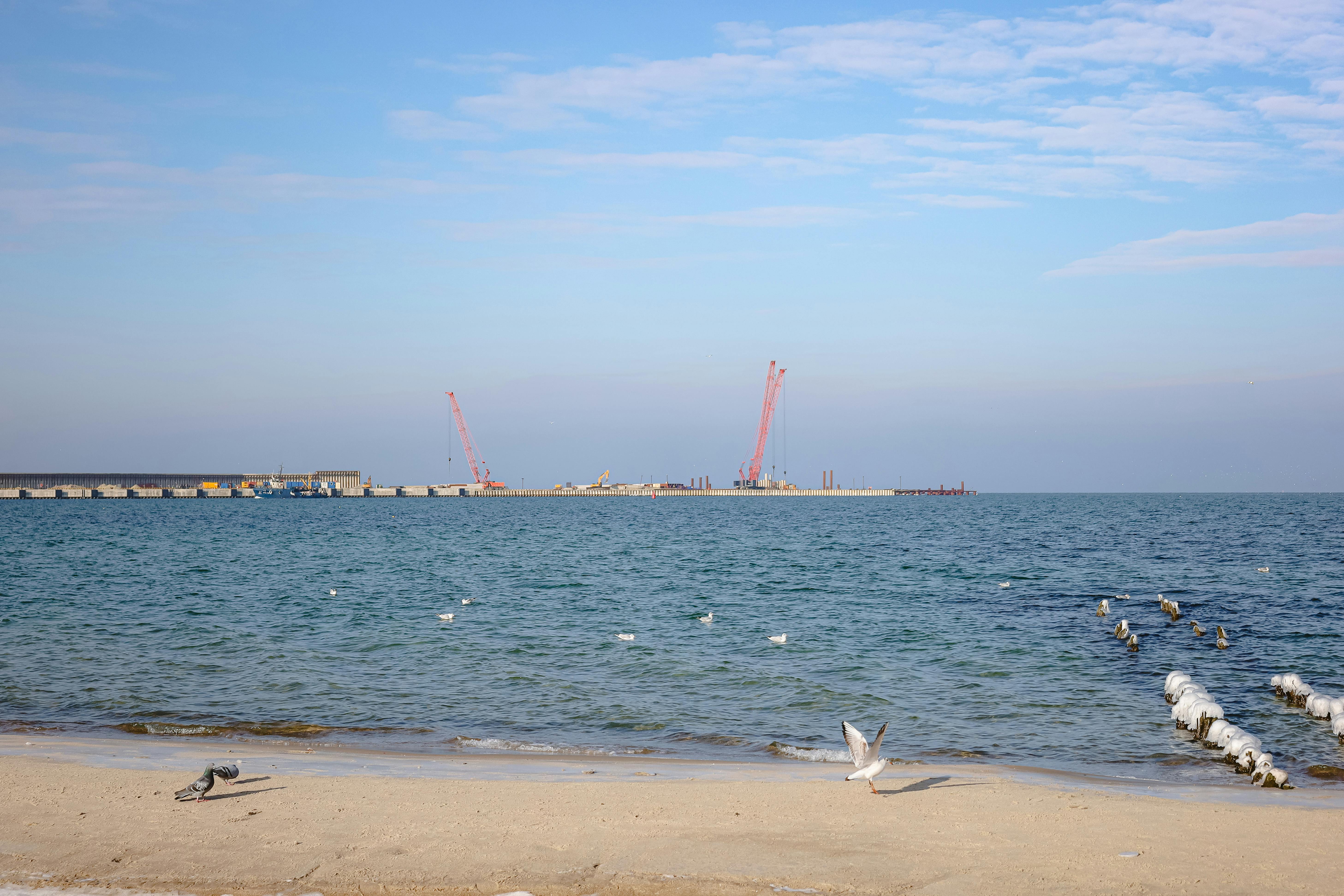 Serene Beachfront with Seagulls and Harbor View · Free Stock Photo