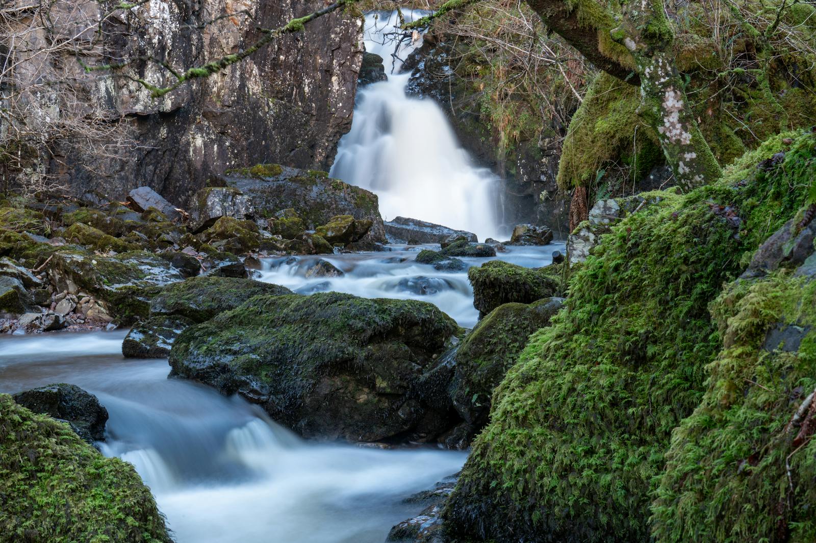 Water Stream Photos, Download The BEST Free Water Stream Stock Photos ...