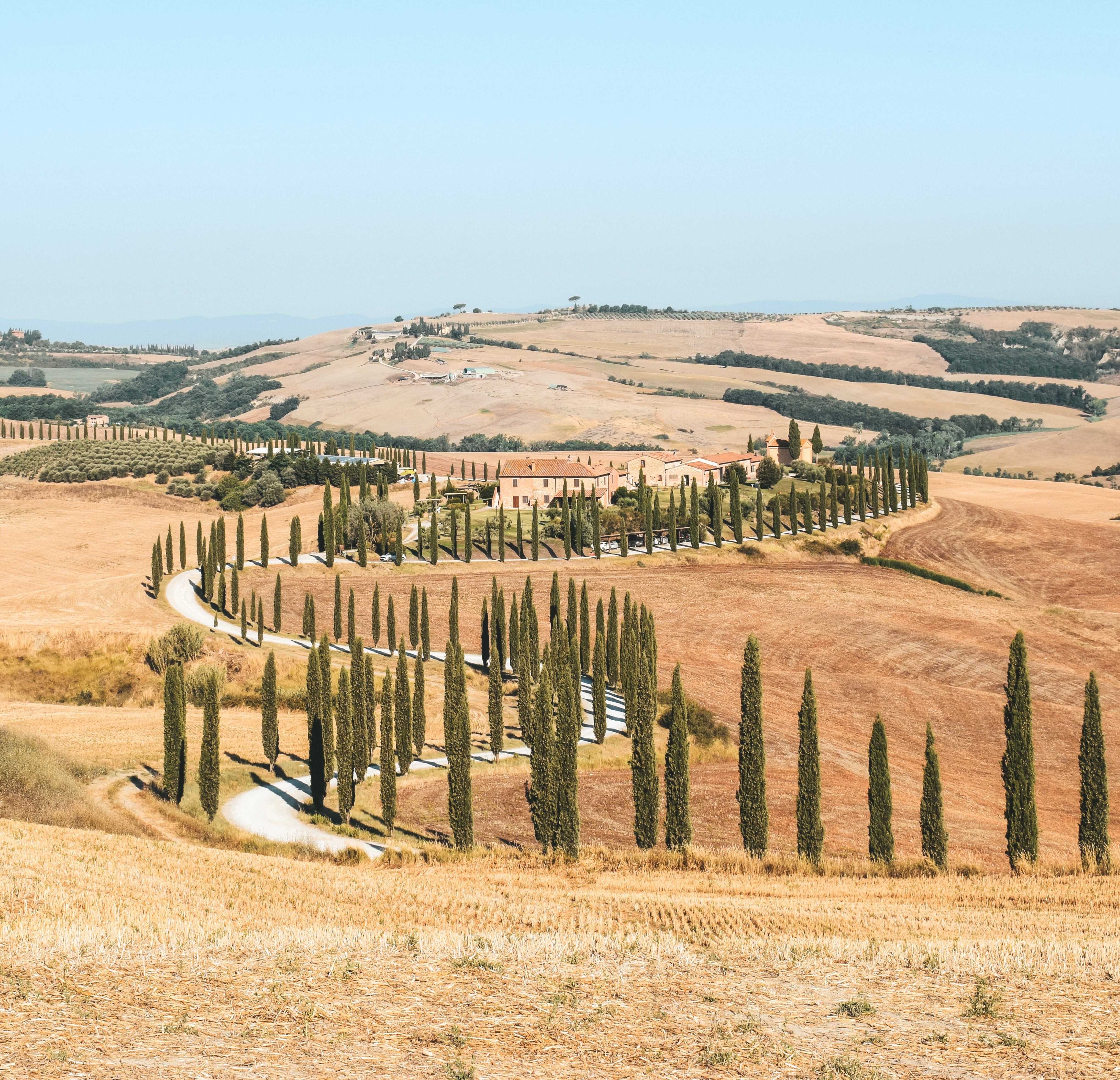 Beautiful Tuscan Landscape with Cypress Trees · Free Stock Photo