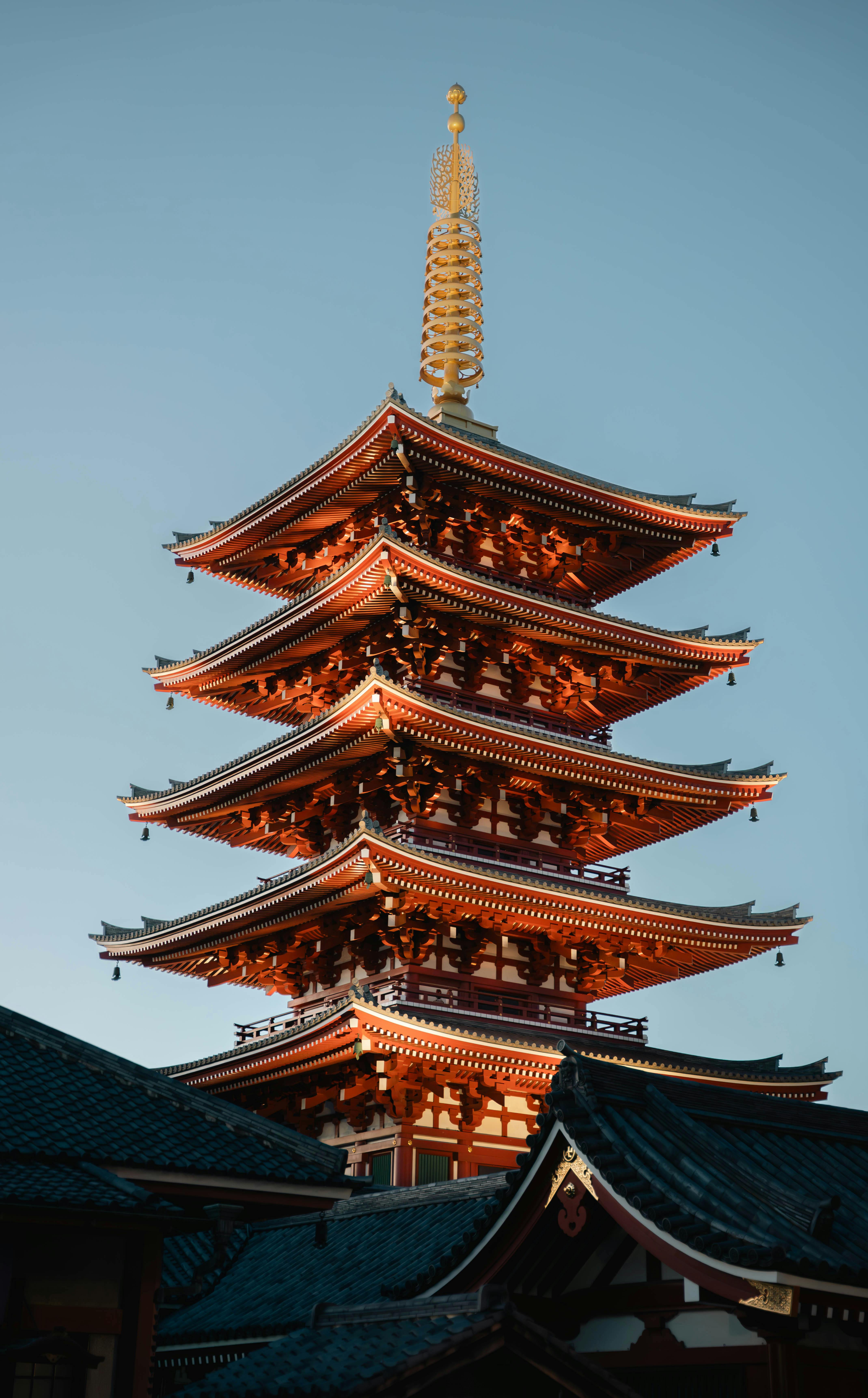 Nohat+Cc+Free+For+Designer Photos, Download The BEST Free Nohat+Cc+Free ...