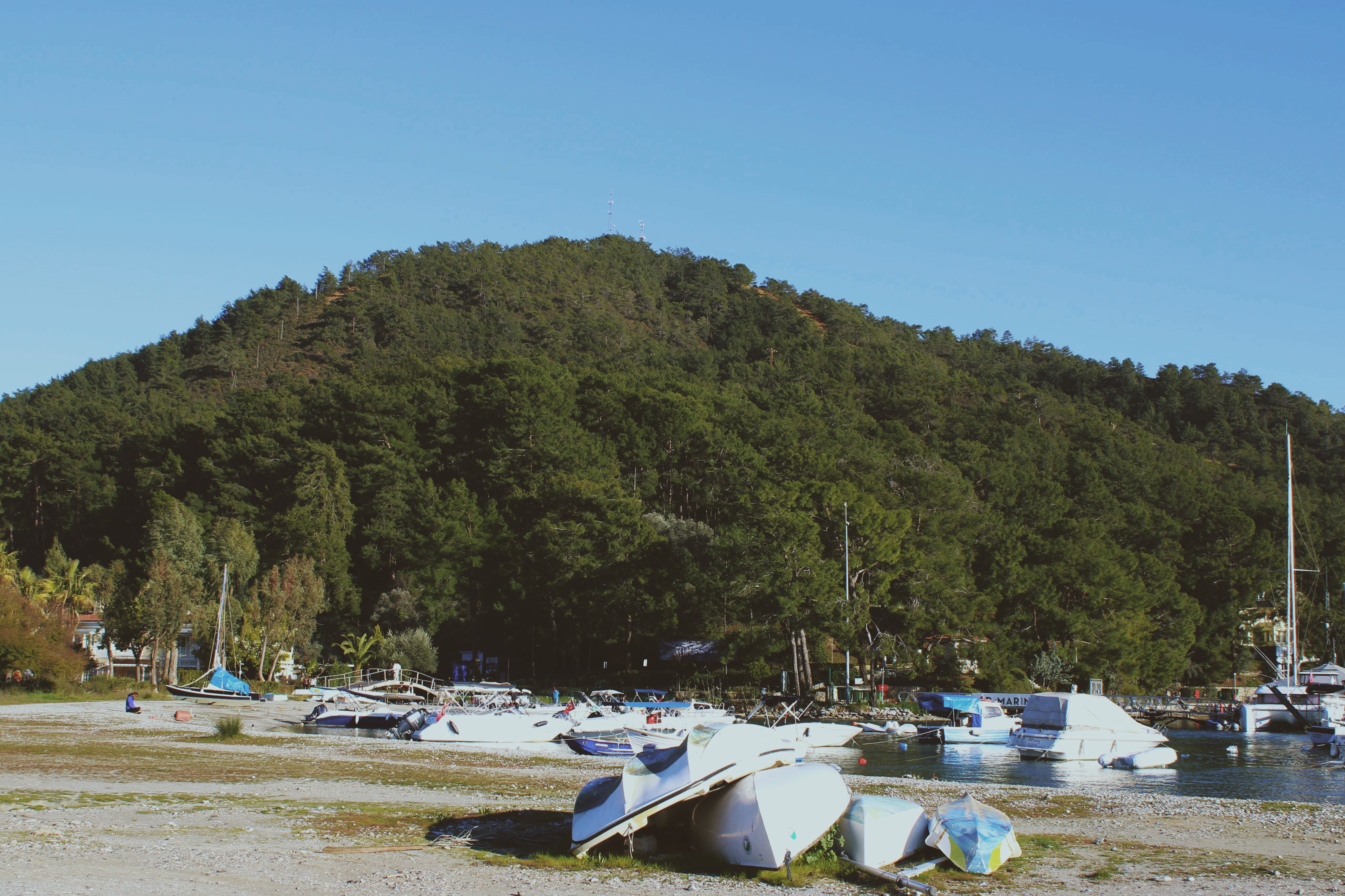 Idyllic Beachfront with Boats and Lush Forest · Free Stock Photo