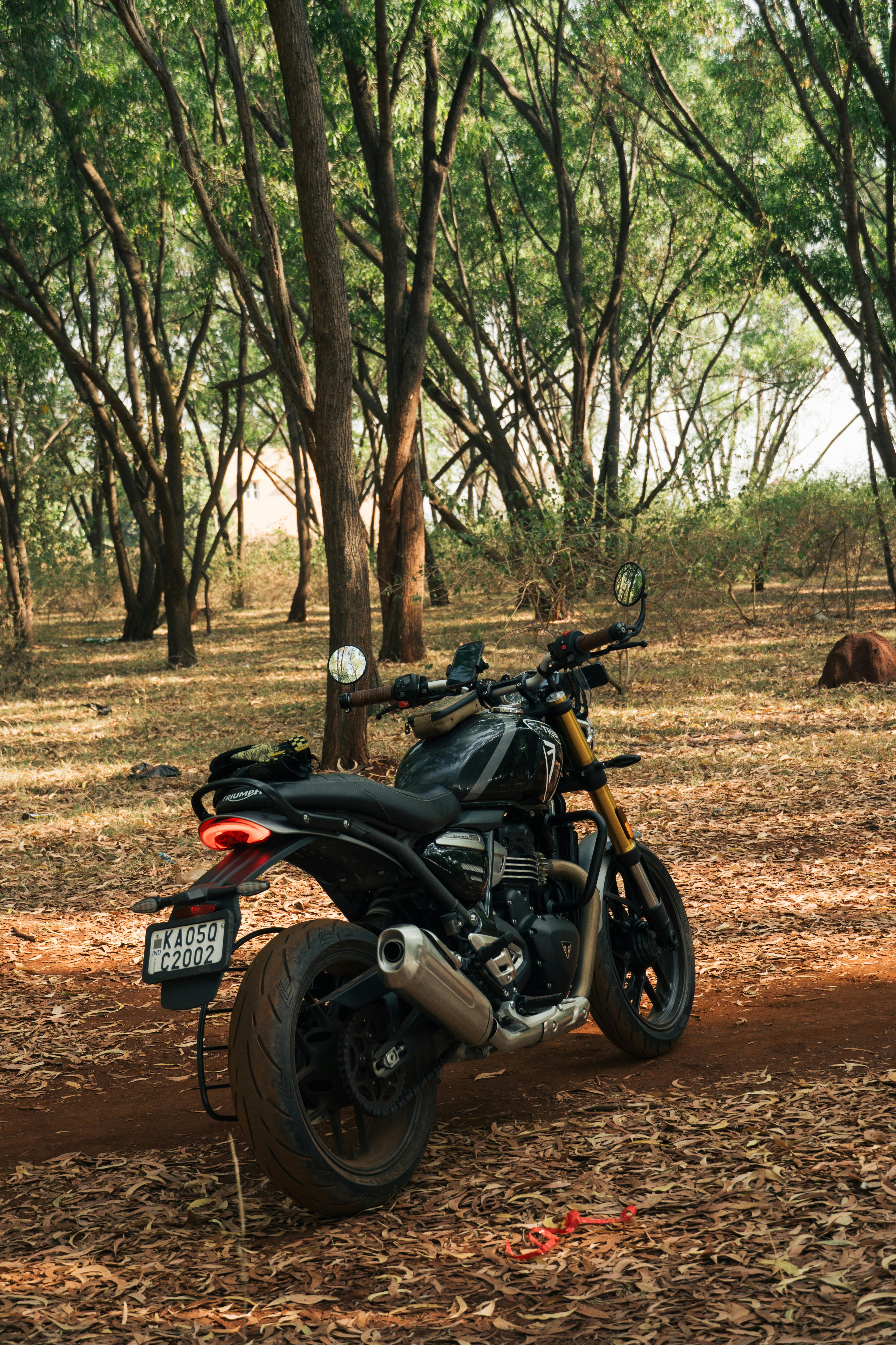 Adventure Motorcycle in a Serene Forest Setting · Free Stock Photo
