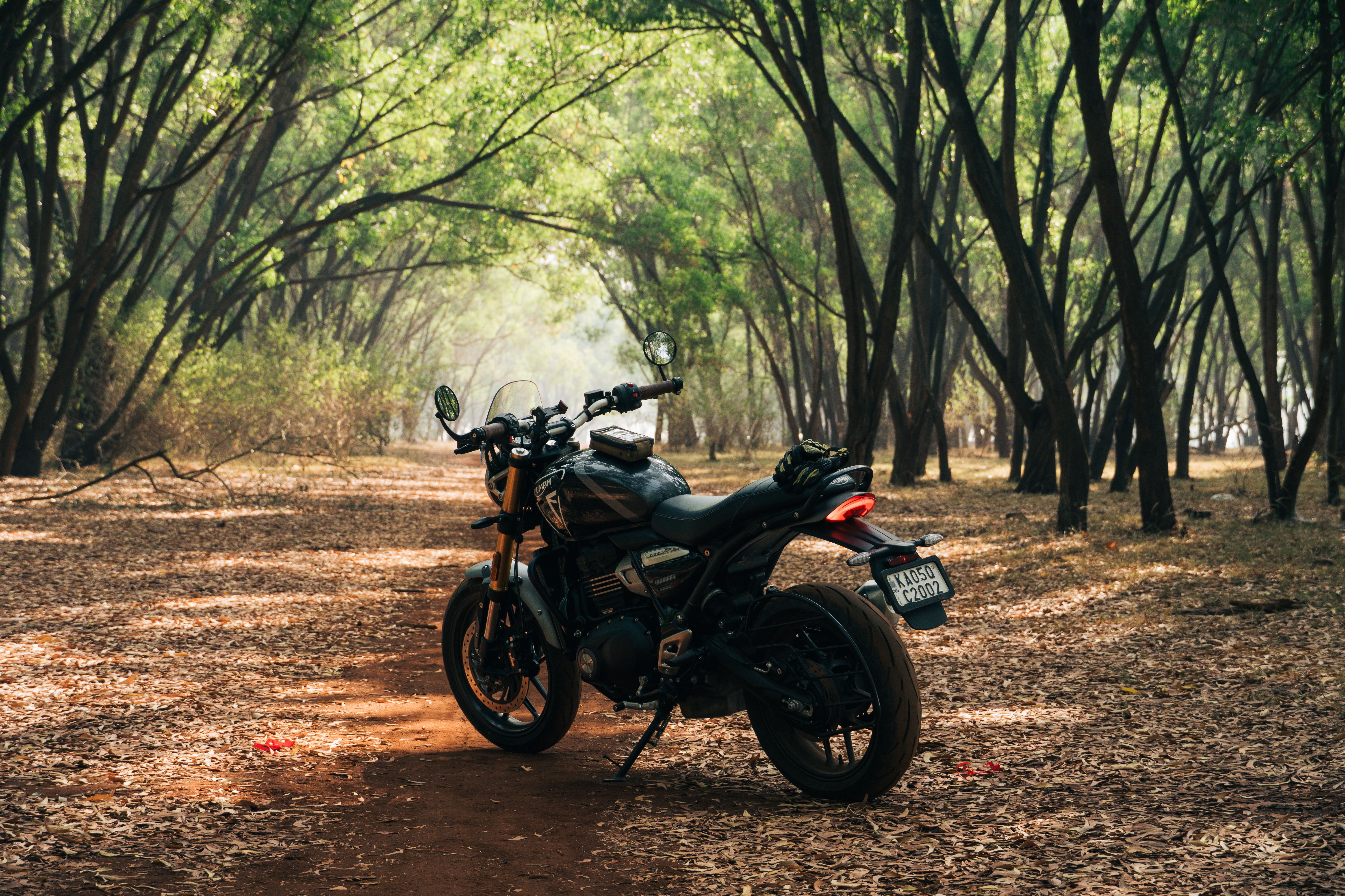 Motorbike Adventure on a Forest Trail in India · Free Stock Photo