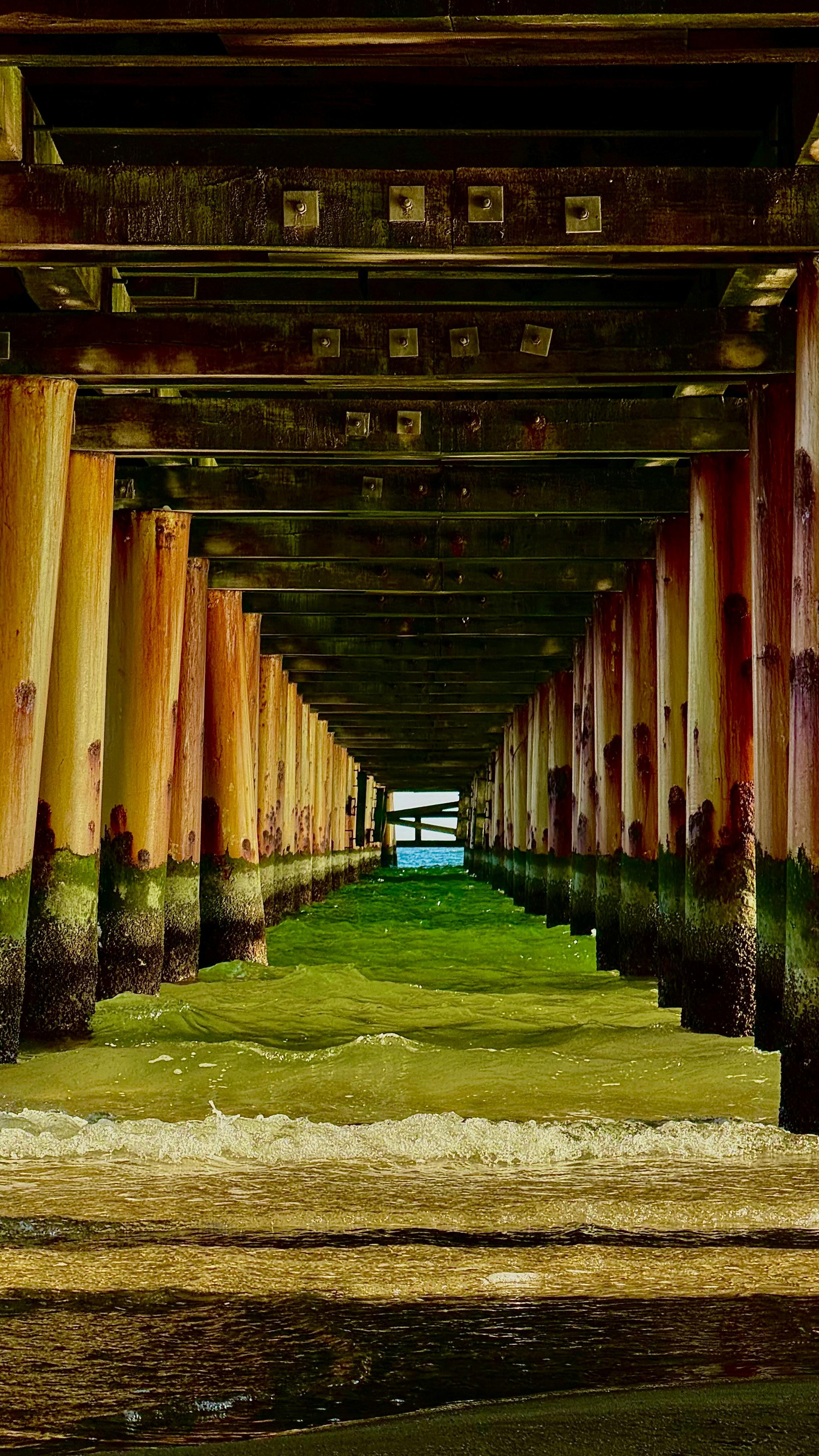 Tropical Timber Photos, Download The BEST Free Tropical Timber Stock ...