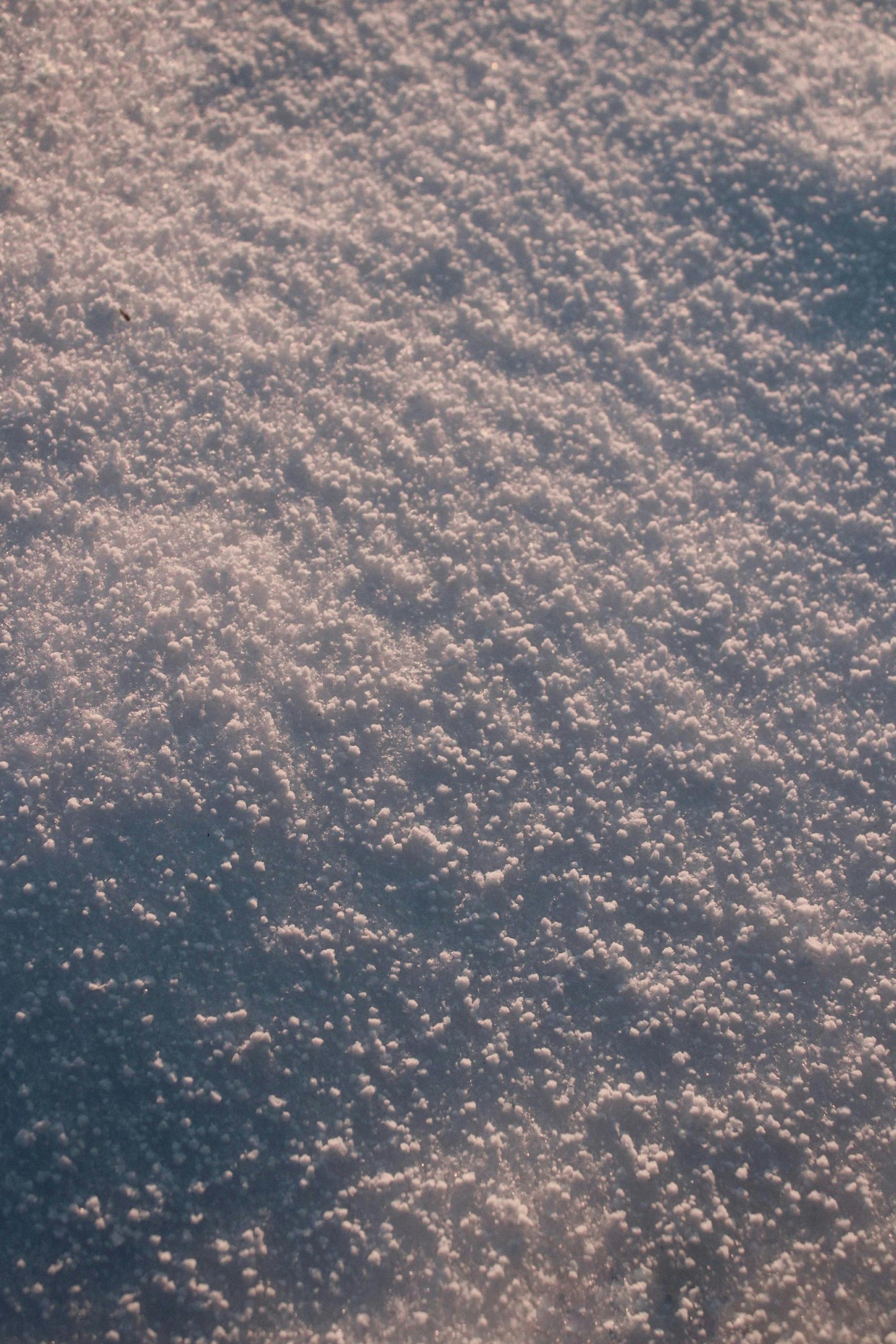 Close-Up of Fresh Snow Covering Ground · Free Stock Photo