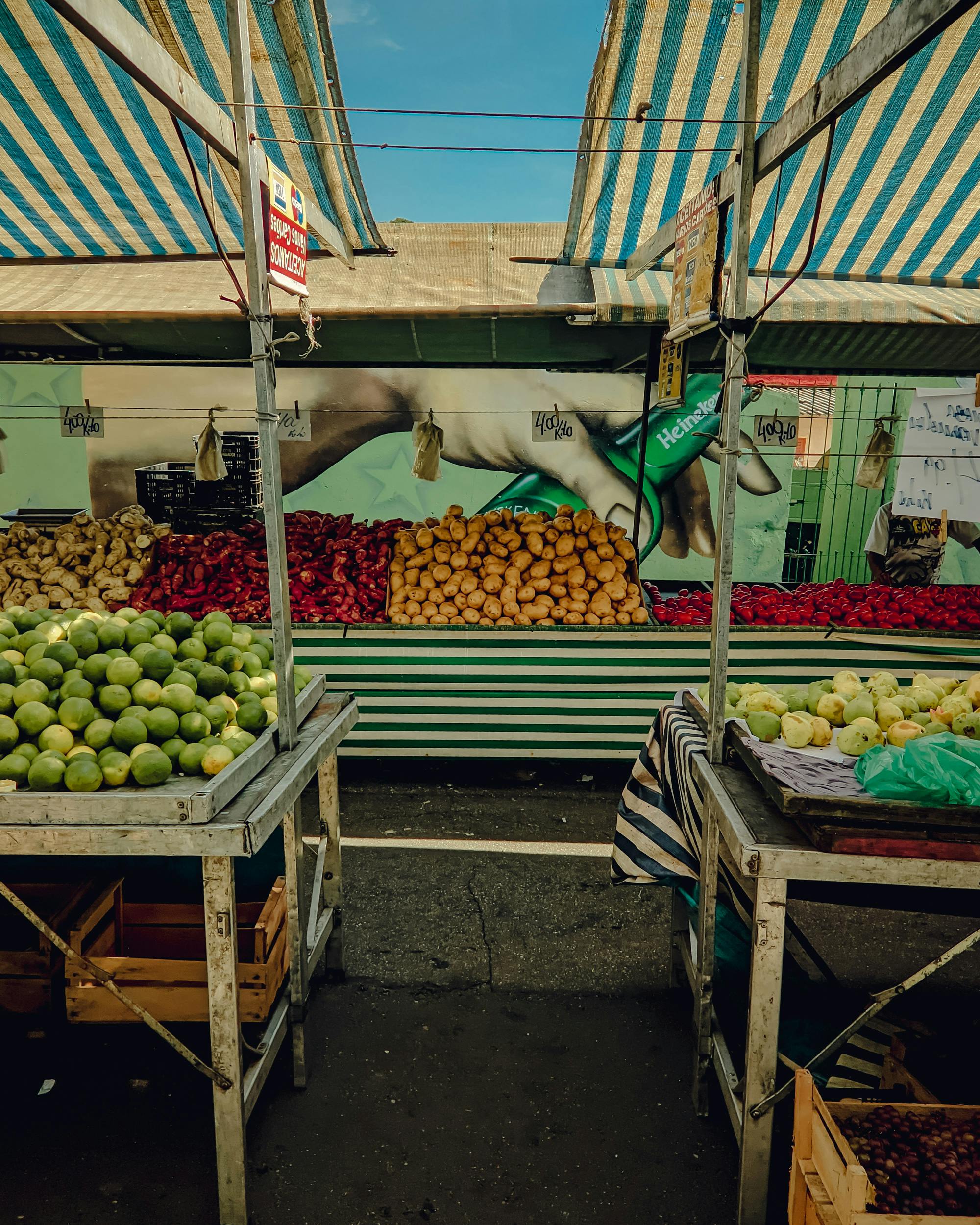 Colorful Fresh Produce Market in São Paulo · Free Stock Photo