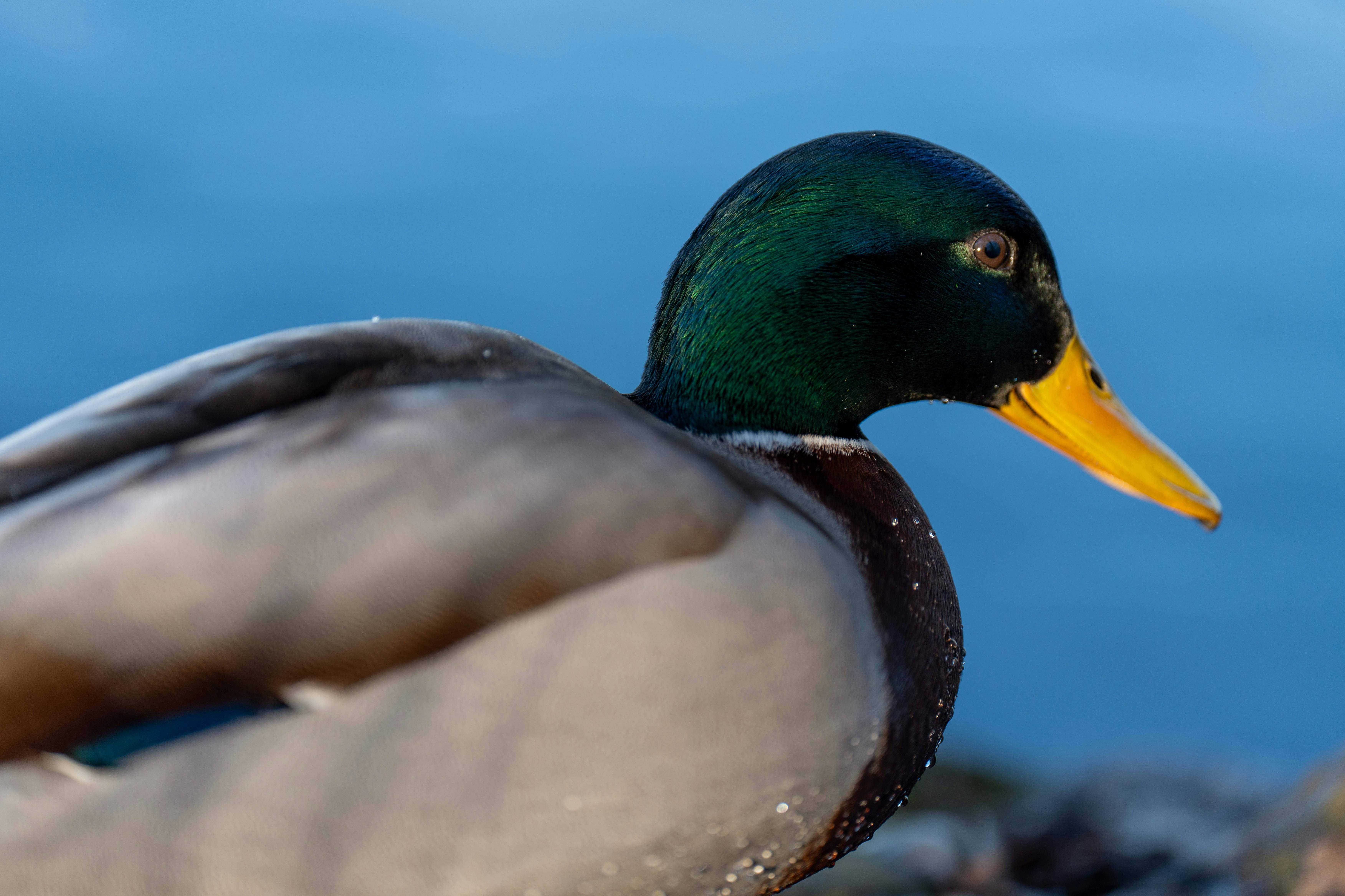 Bill Speedtest Photos, Download The BEST Free Bill Speedtest Stock ...