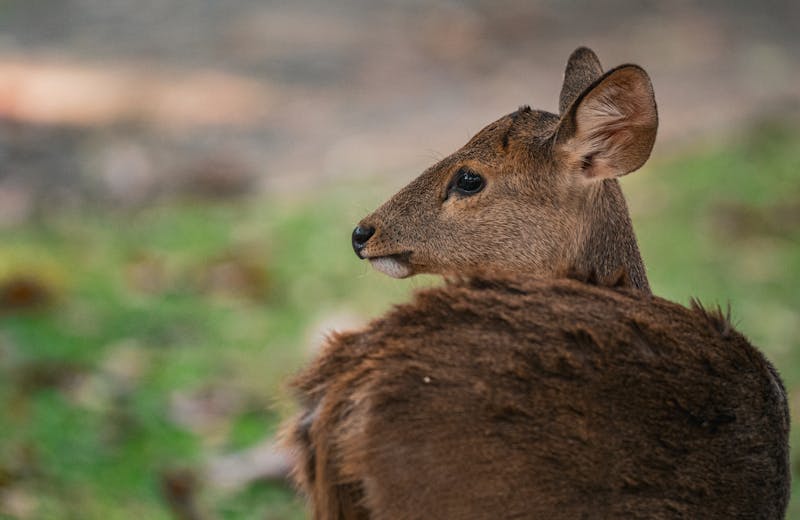 Free Compass Image Photos, Download The BEST Free Free Compass Image ...