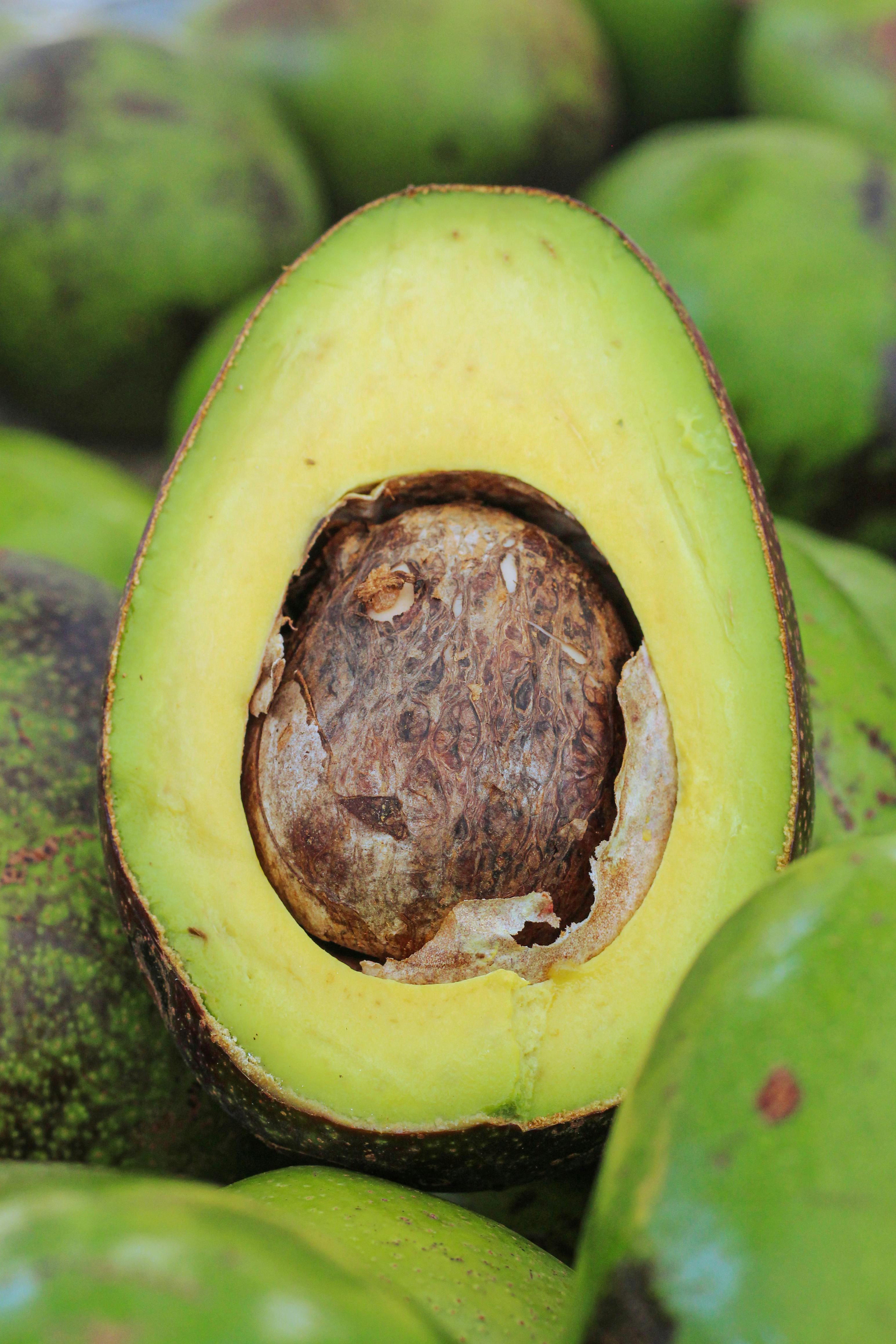 Fresh Avocado with Stone on Green Background · Free Stock Photo