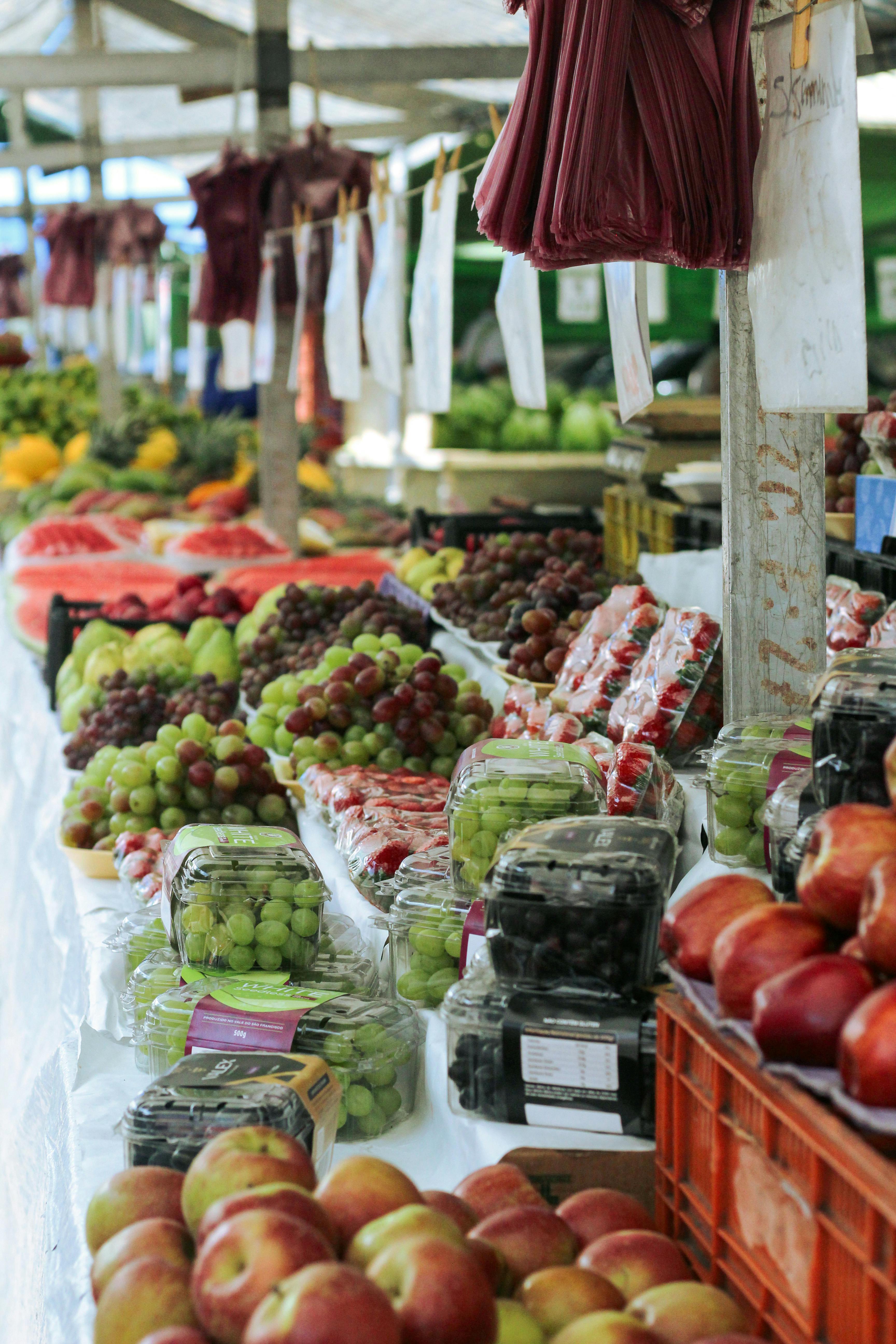 Vibrant Street Market Display of Fresh Fruits · Free Stock Photo