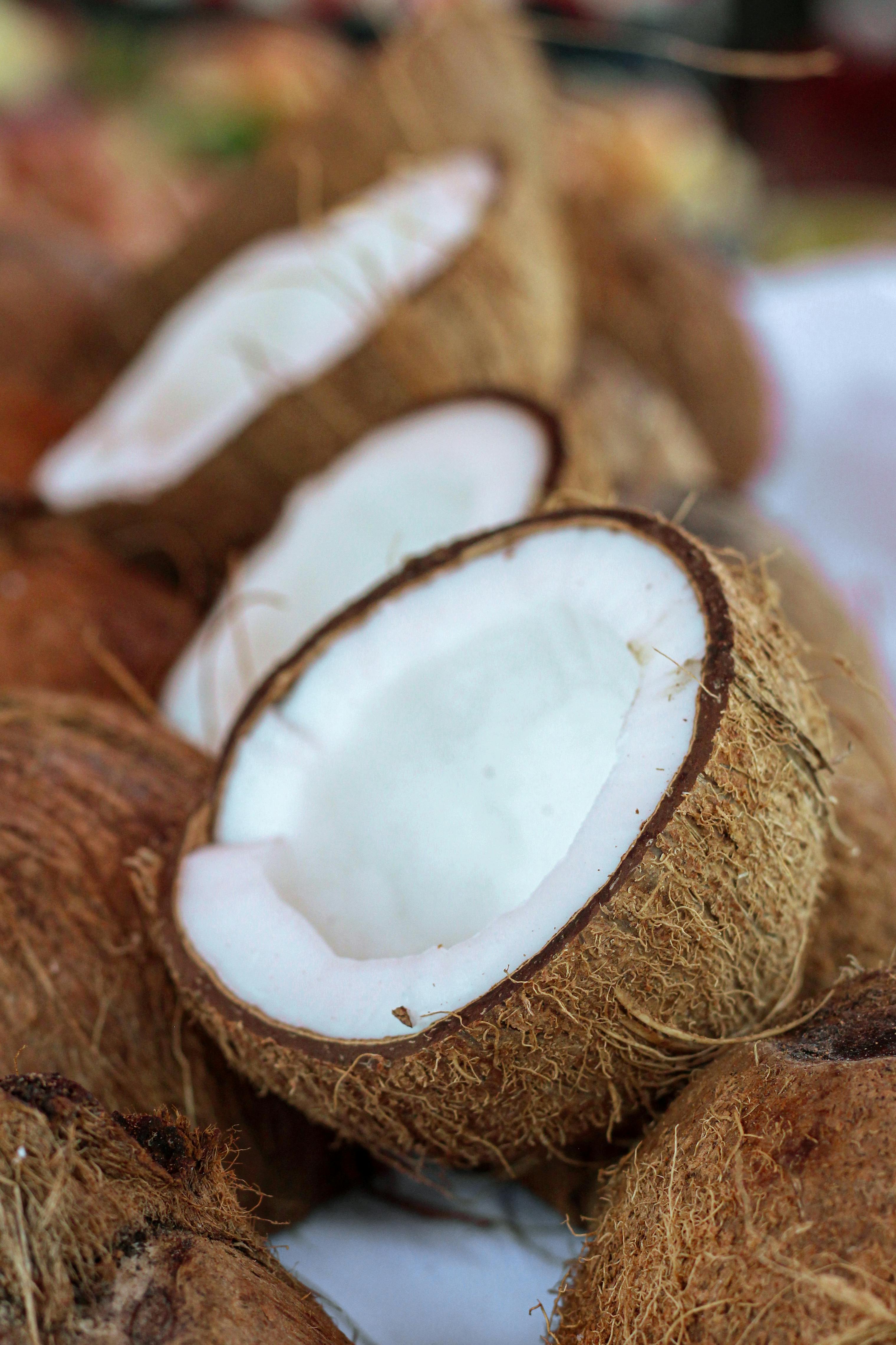 Green Coconut Shell · Free Stock Photo