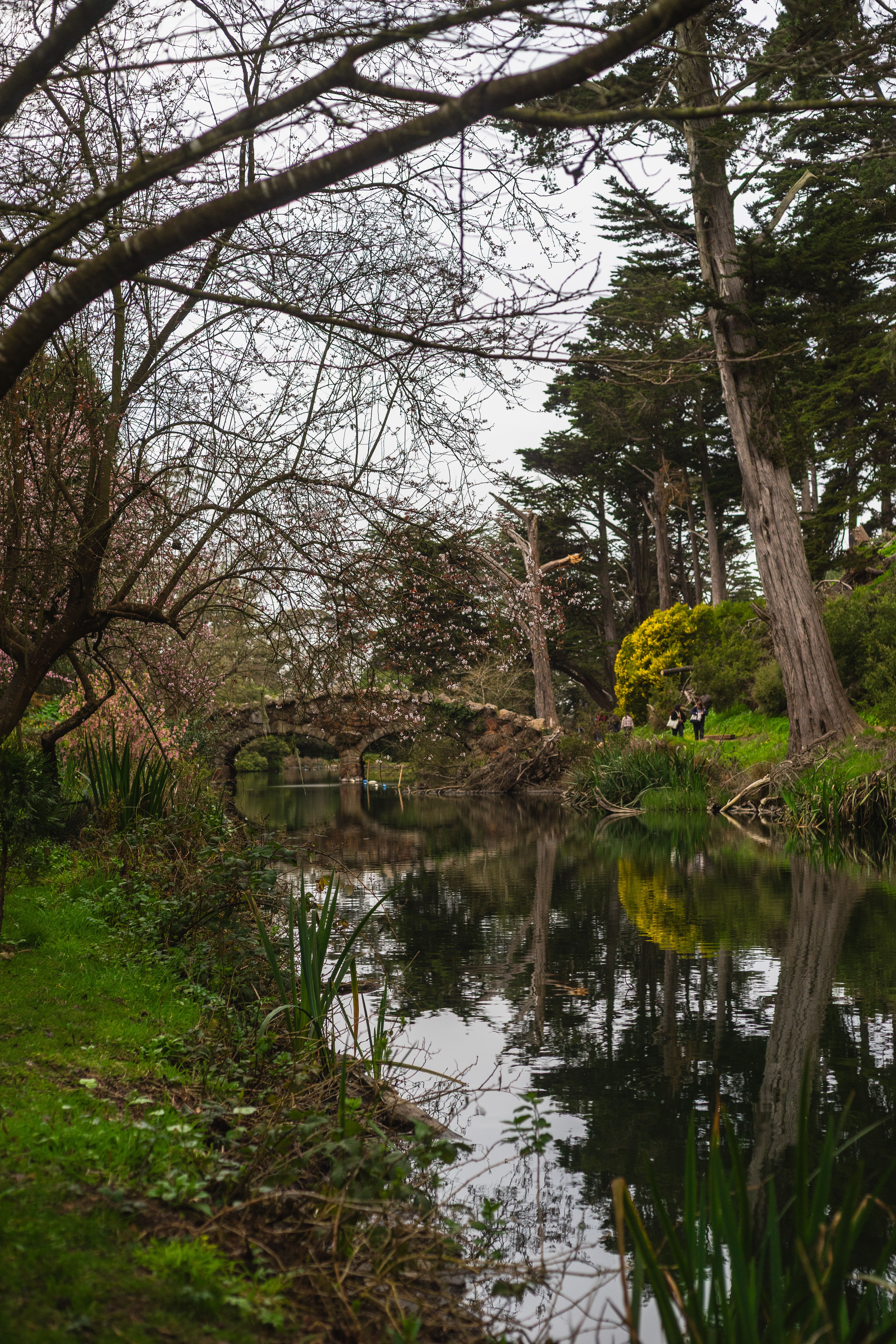 Tranquil Park Stream with Reflections in Spring · Free Stock Photo