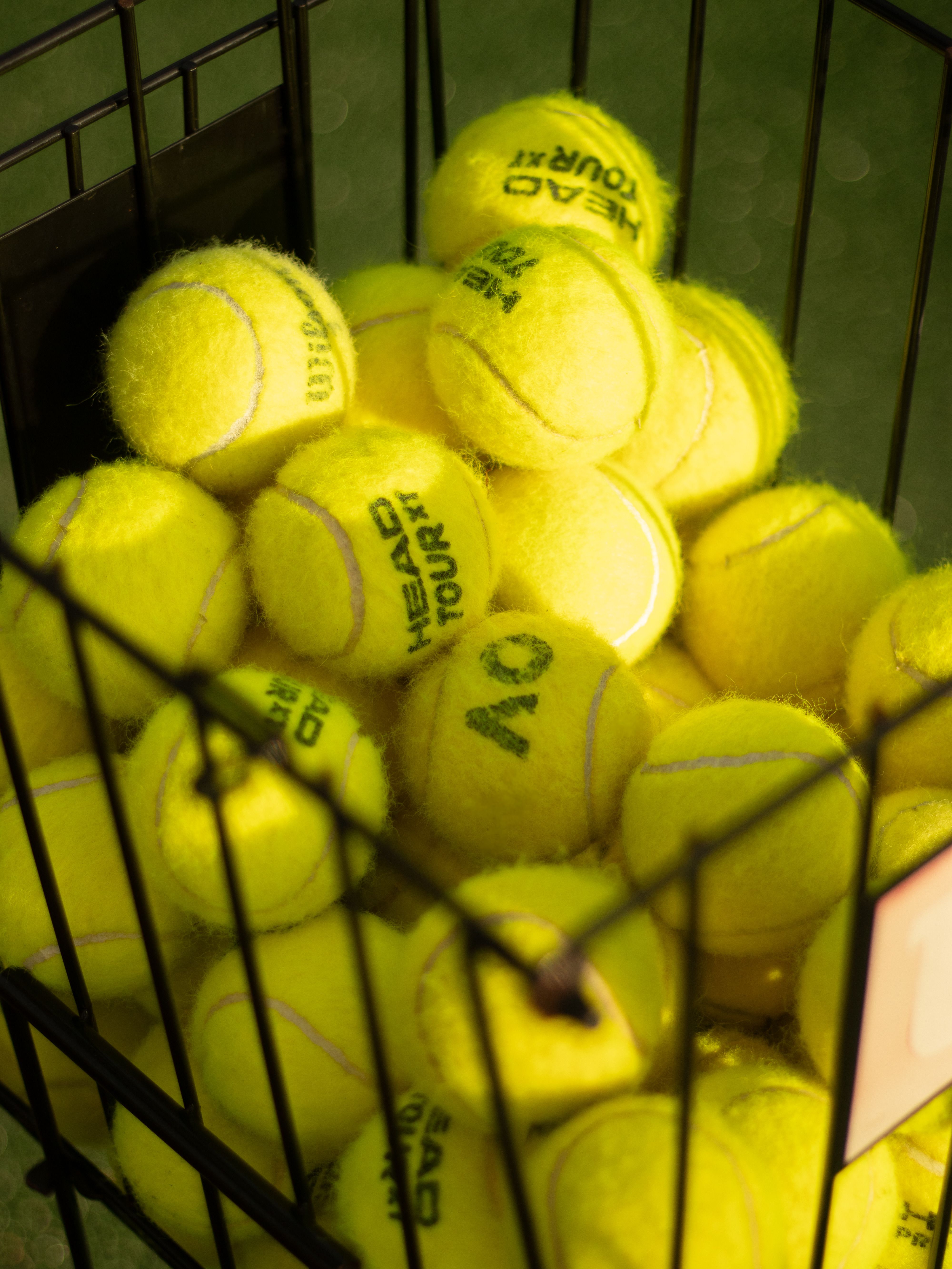 Basket of Yellow Tennis Balls in Wire Container · Free Stock Photo