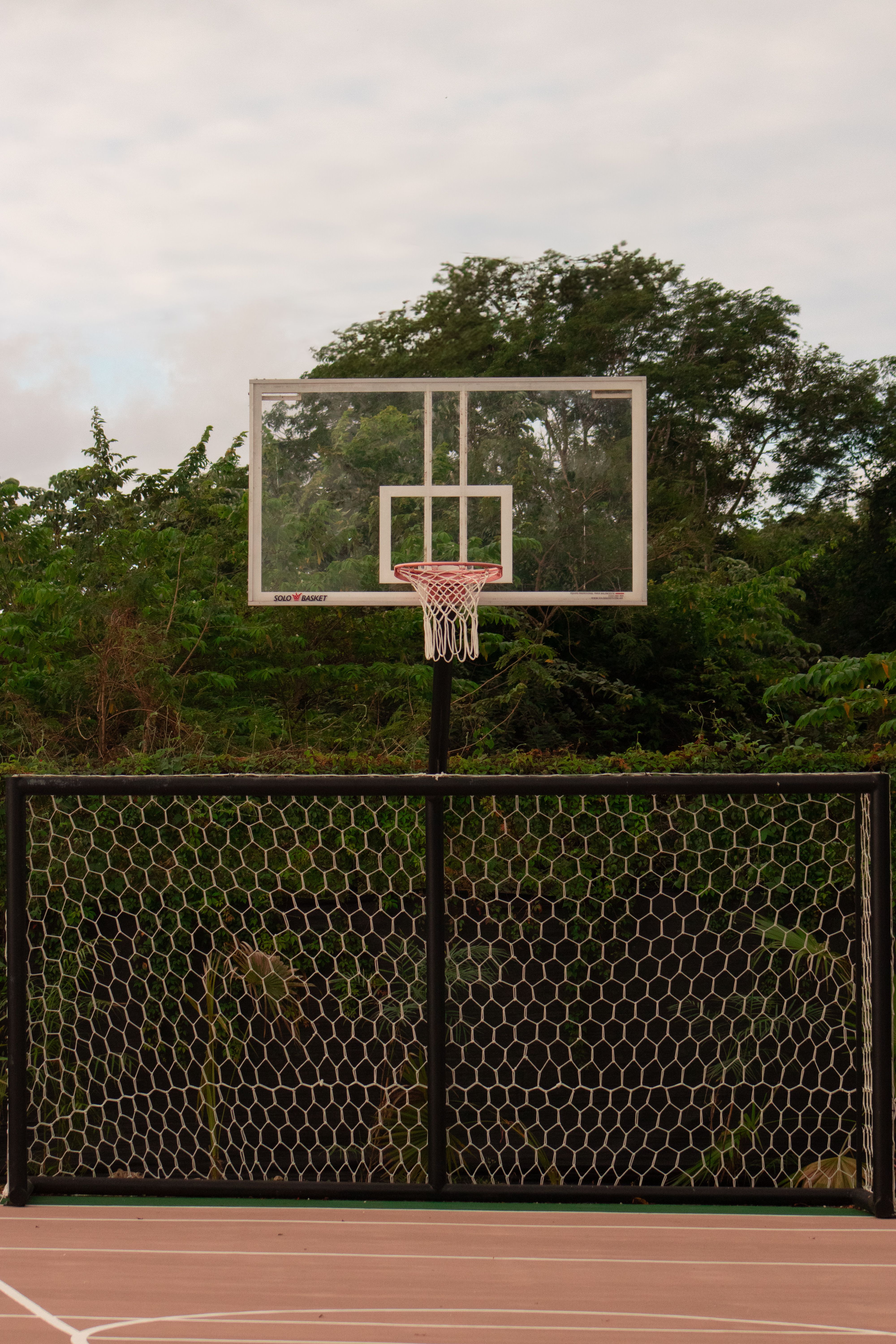 Outdoor Basketball Hoop with Nature Background · Free Stock Photo