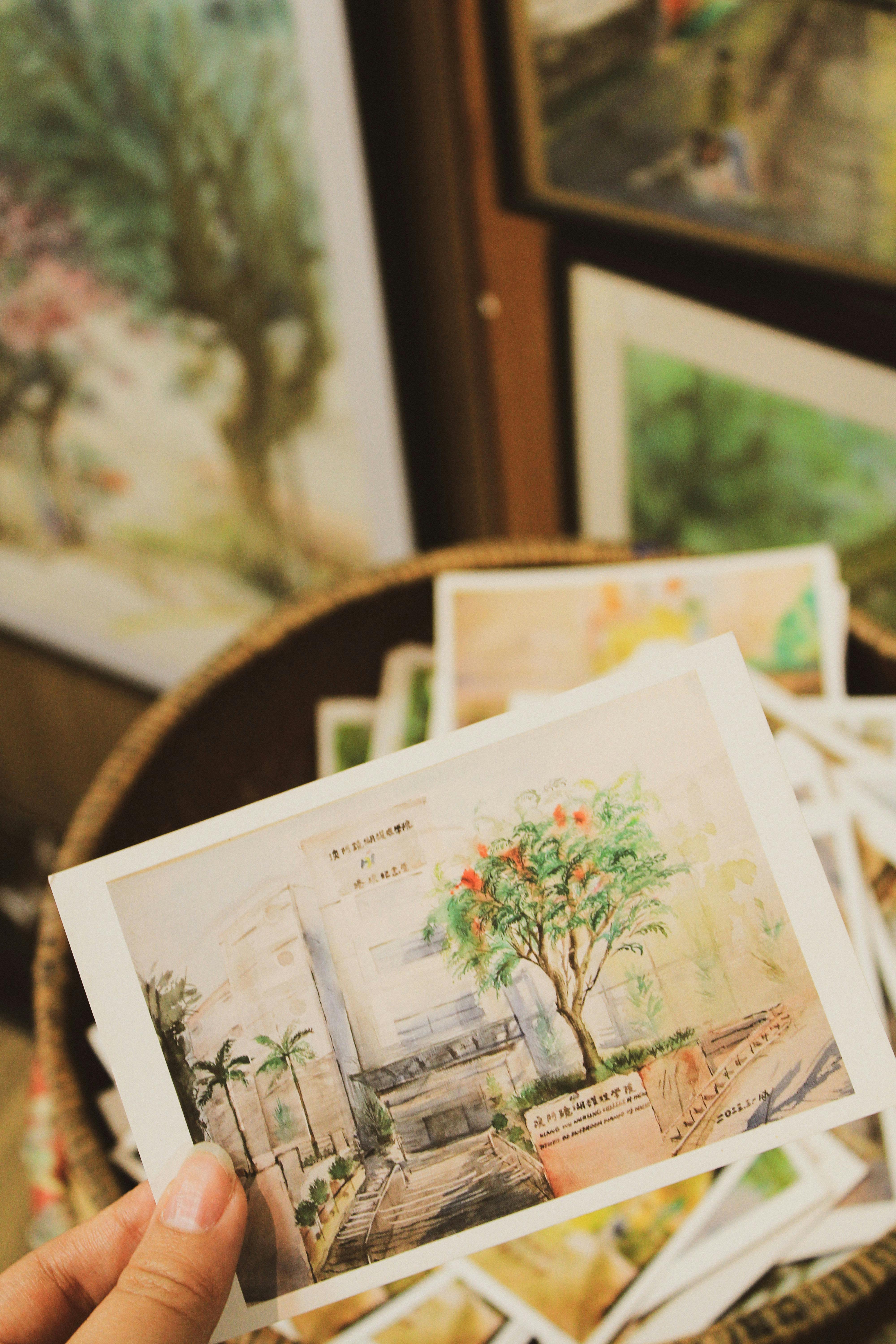 Painting Picture Photos, Download The BEST Free Painting Picture Stock ...