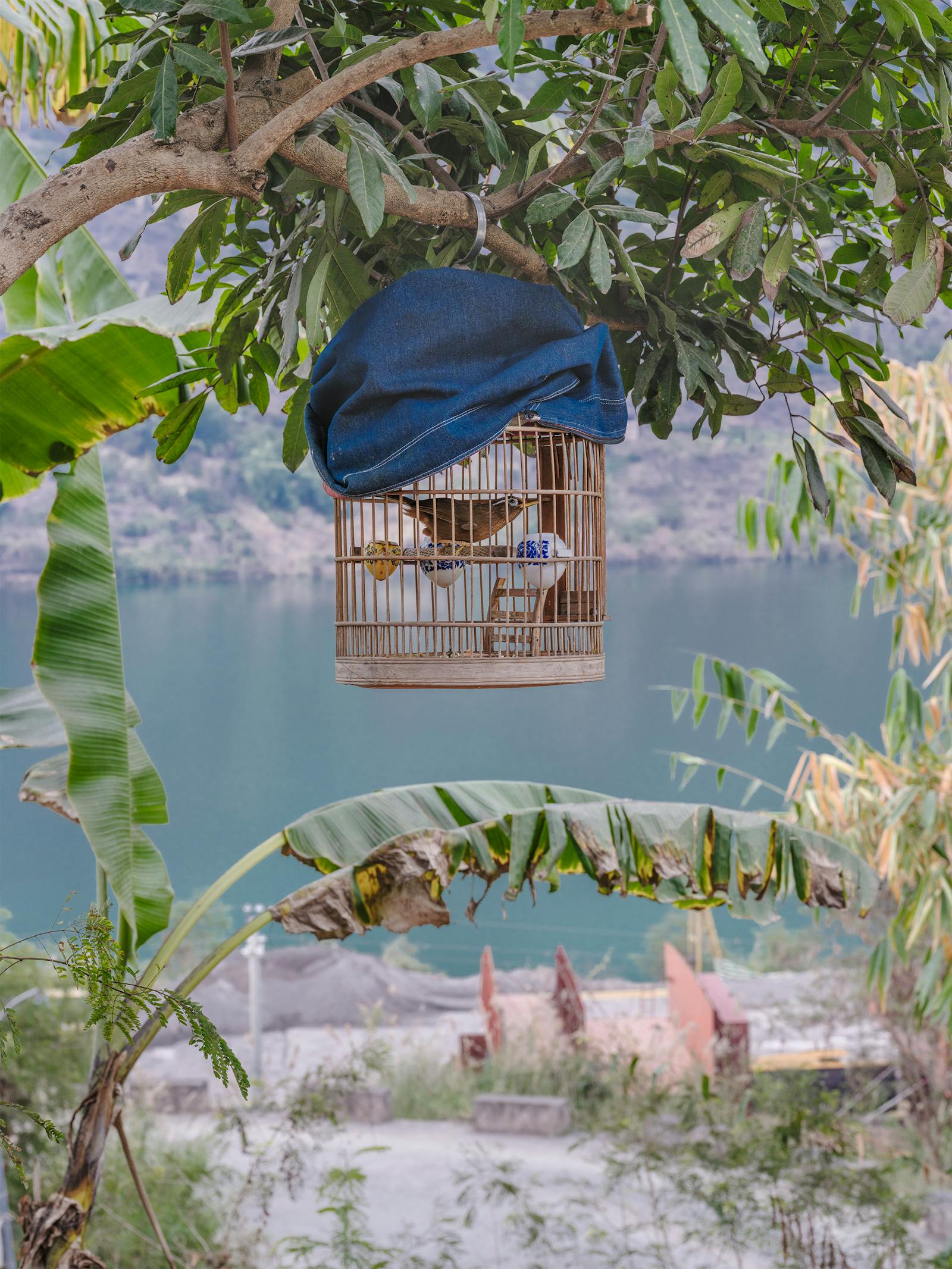 Rib Cage Photos, Download The BEST Free Rib Cage Stock Photos & HD Images