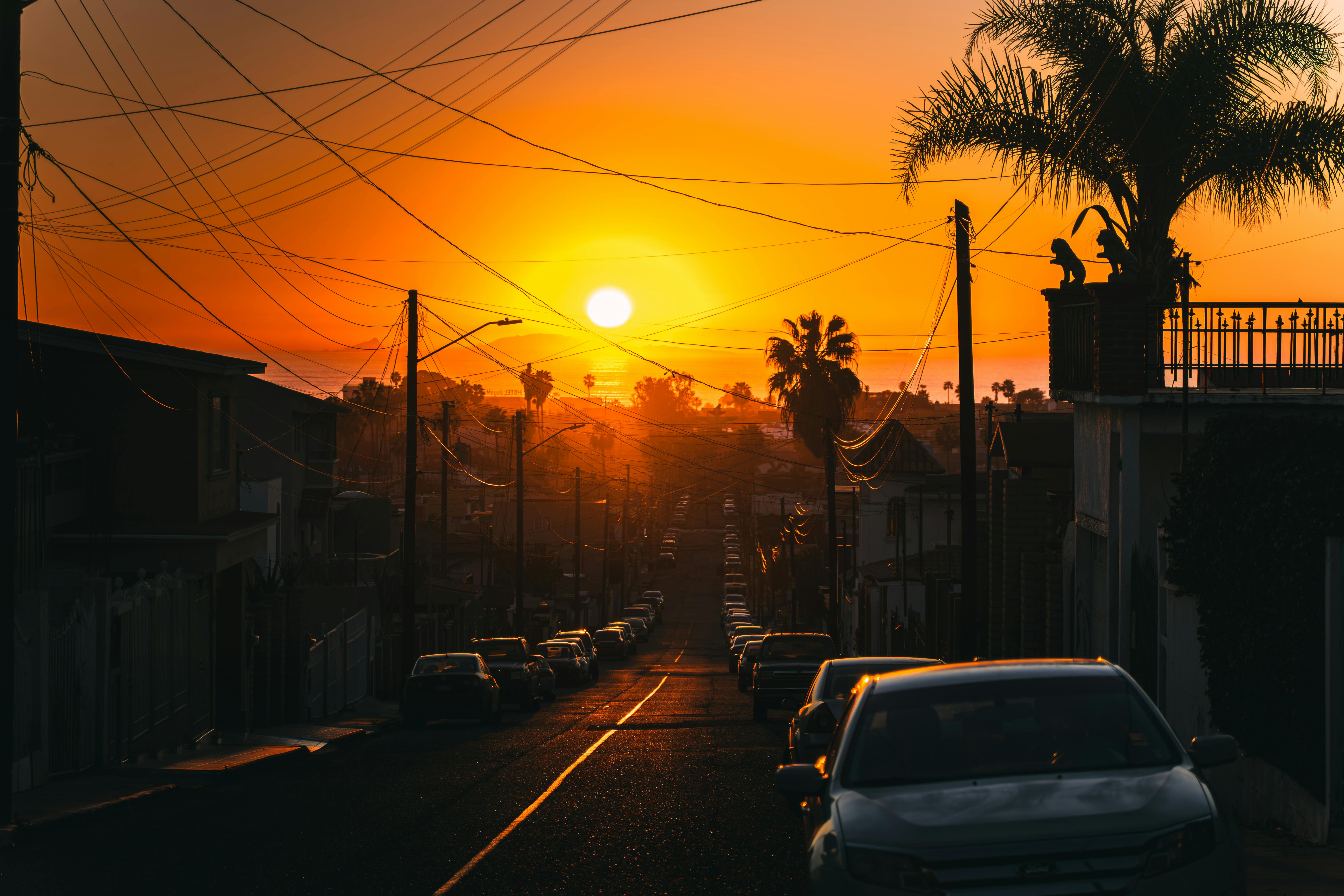 Sunset Street Scene with Palm Trees and Cars · Free Stock Photo