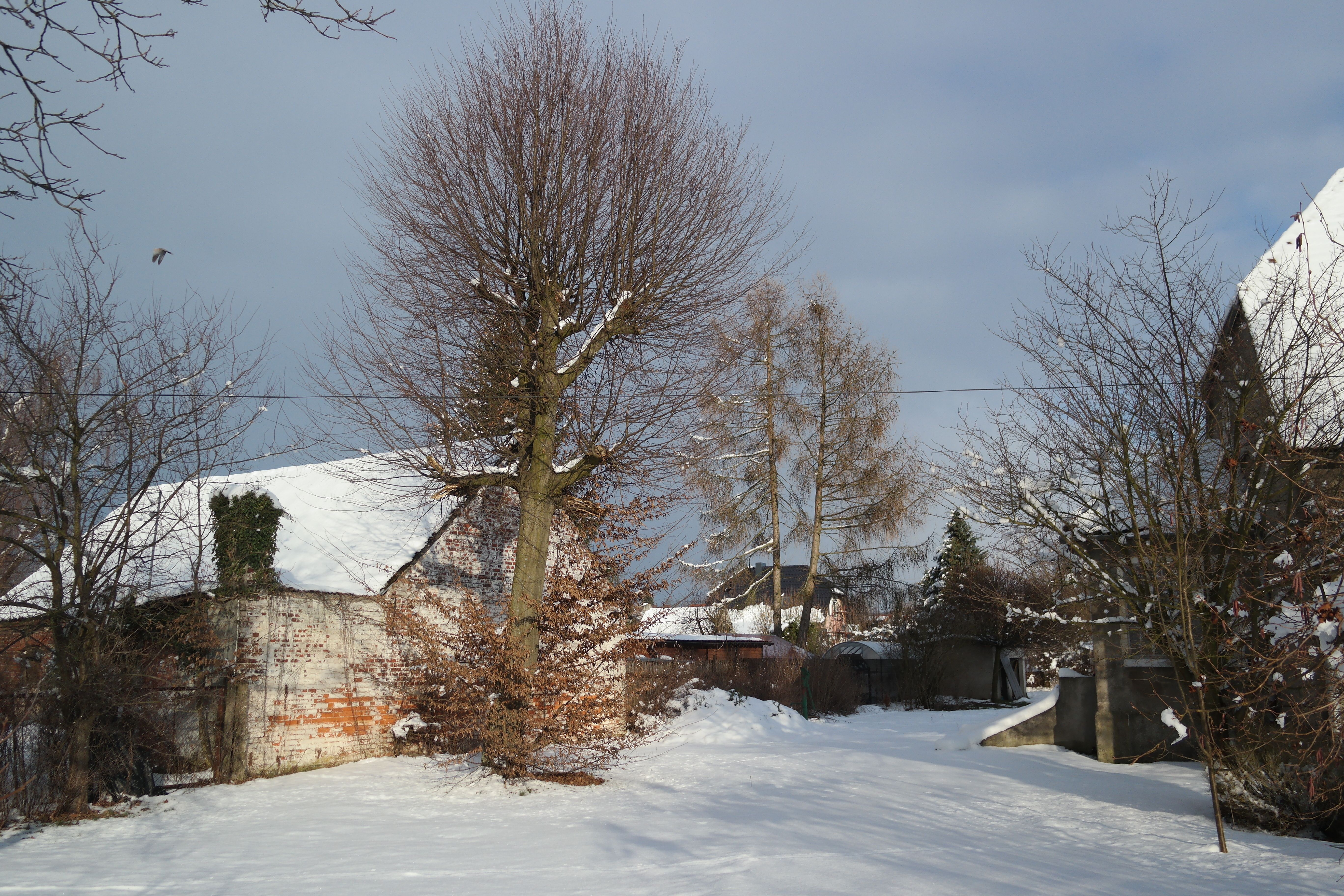 Kult Bilde For Barn Photos, Download The BEST Free Kult Bilde For Barn ...