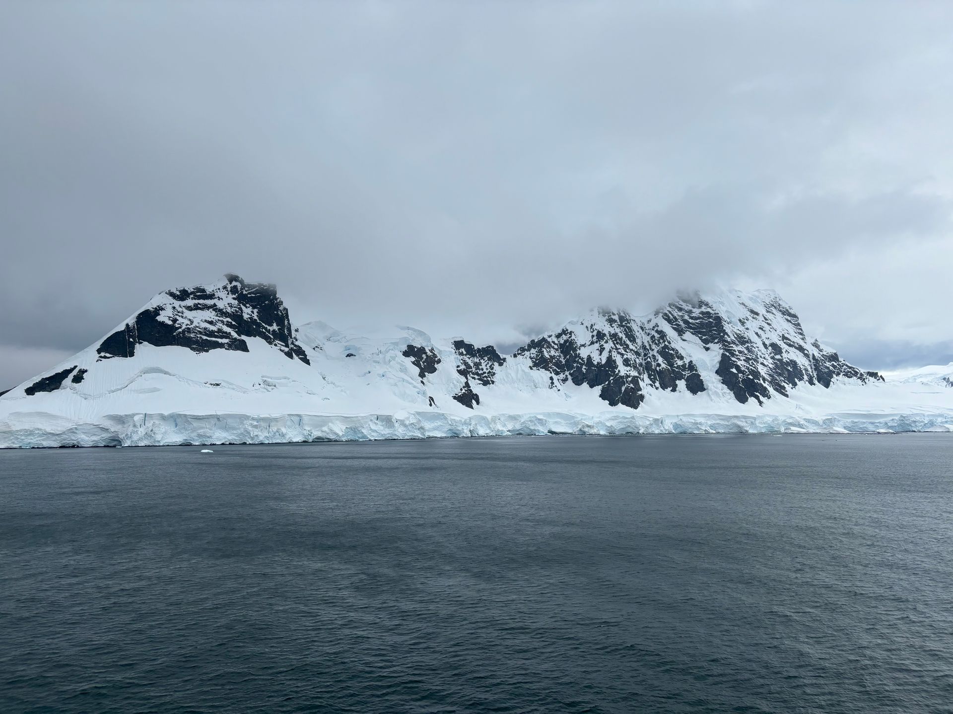 antarctica wildlife: marine life and animals guide