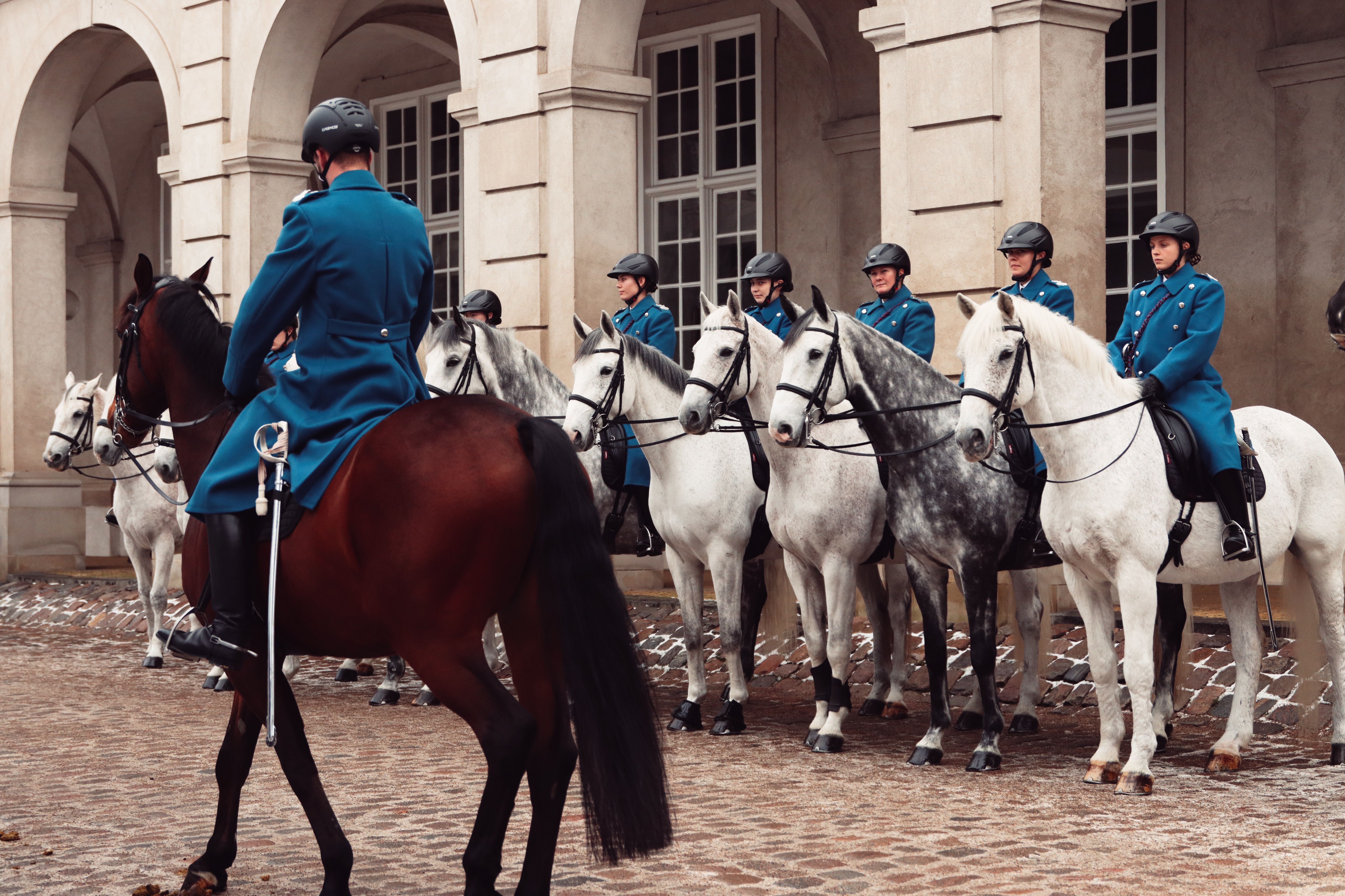 Danish Police Photos, Download The BEST Free Danish Police Stock Photos ...