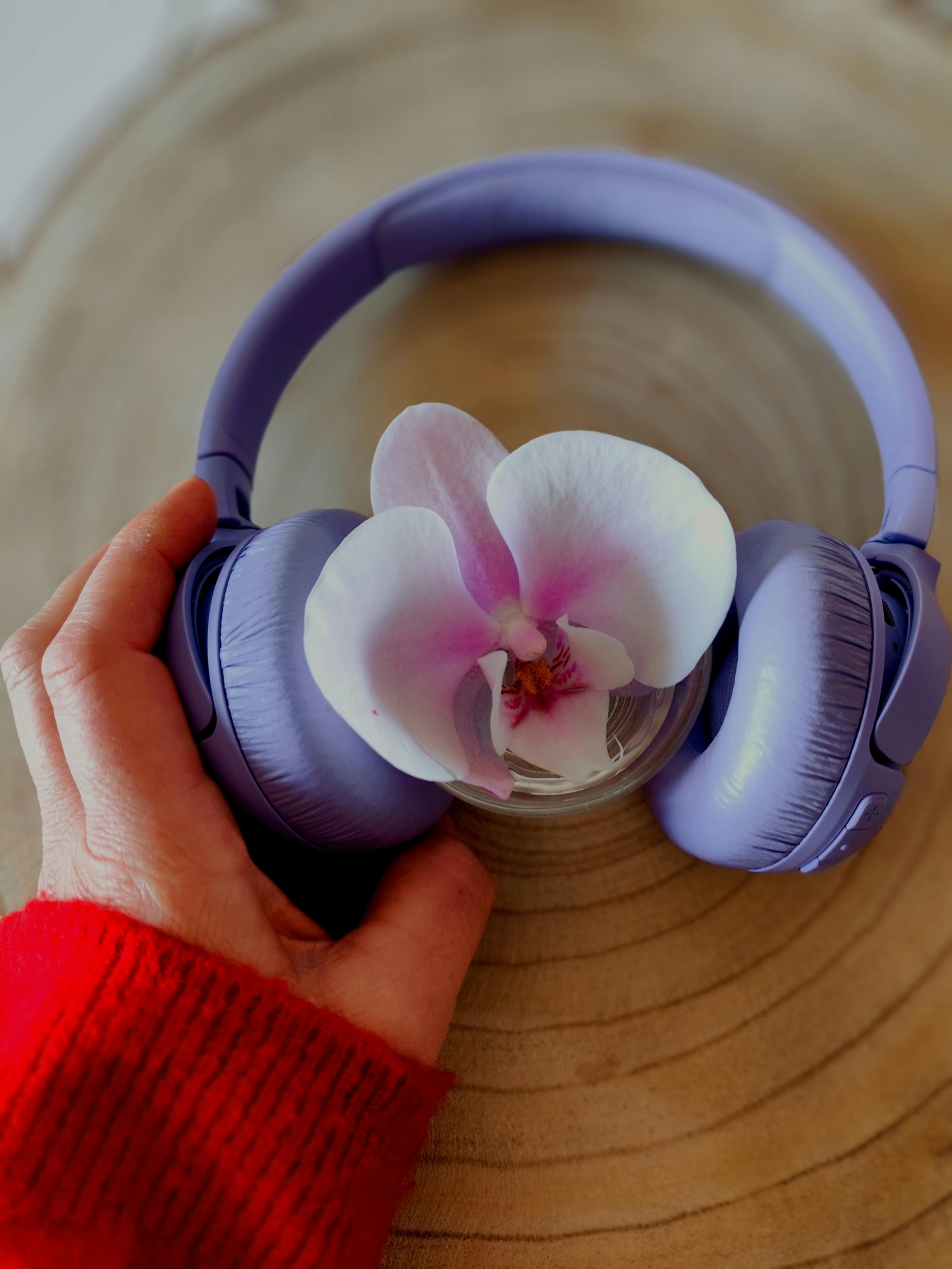 Orchid and Headphones in Artistic Harmony · Free Stock Photo