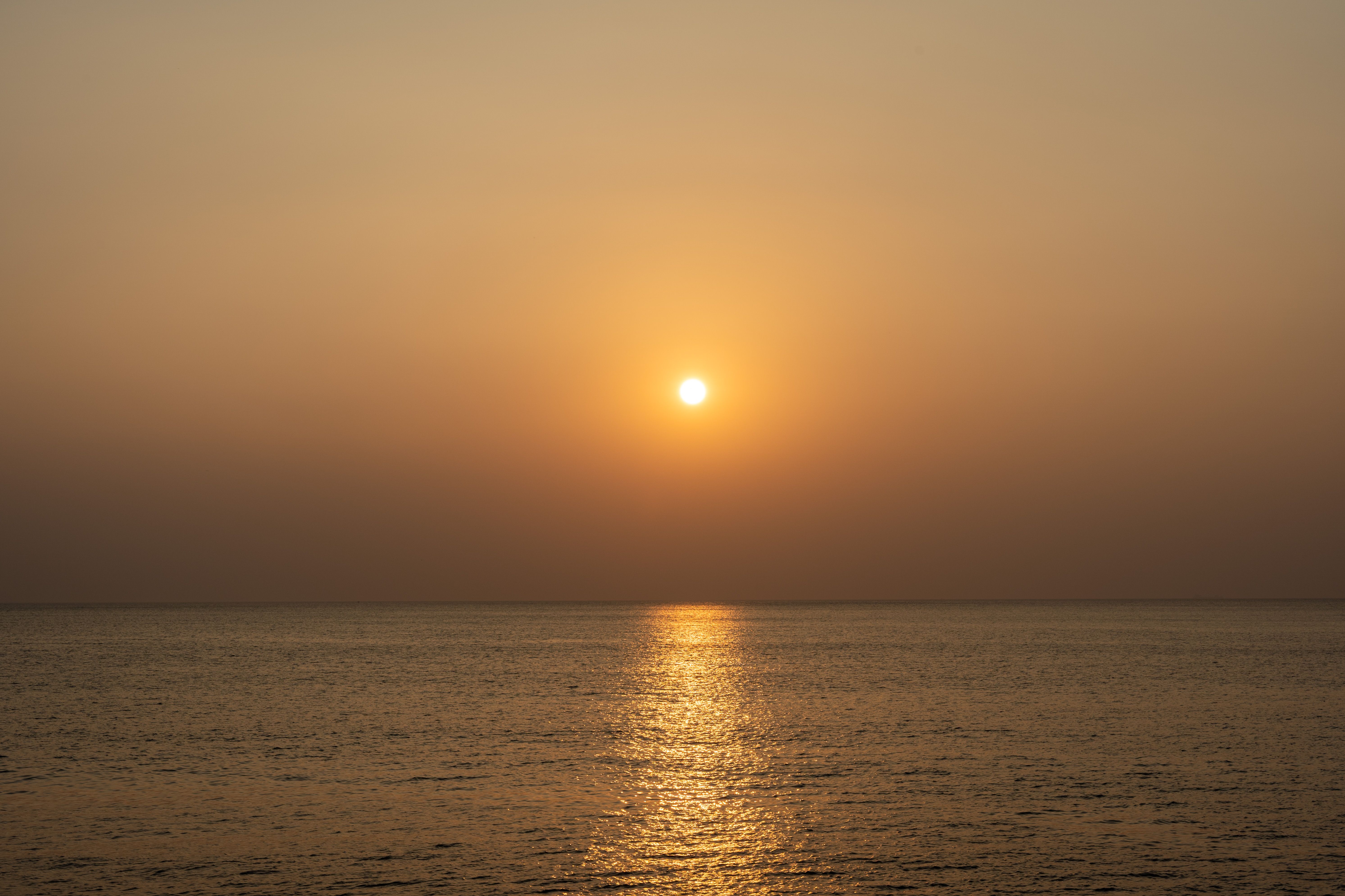 Edit in Canva