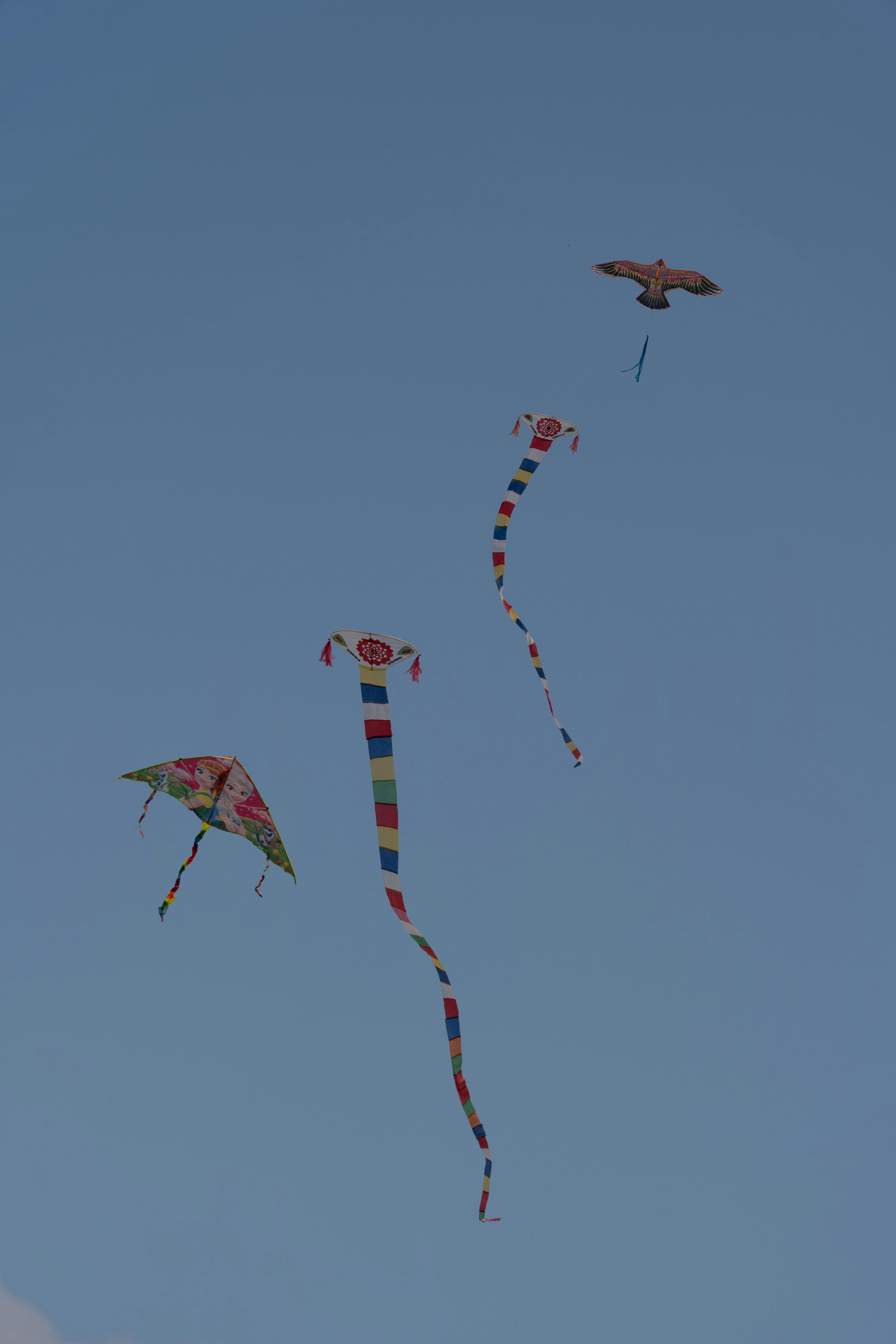 Kites Photos, Download The BEST Free Kites Stock Photos & HD Images