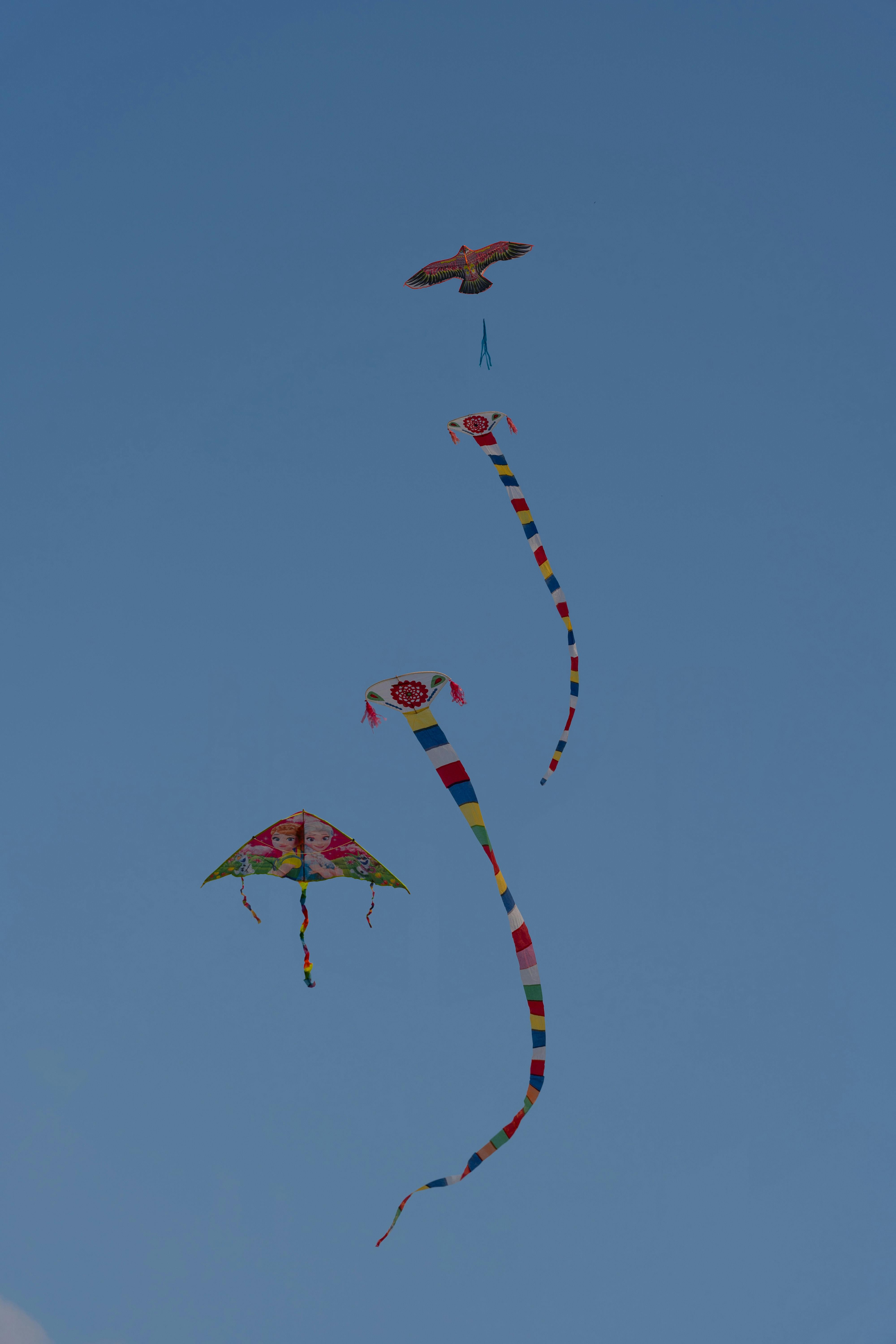 Silhouette of Kite Flyers at Colombo Seaside · Free Stock Photo