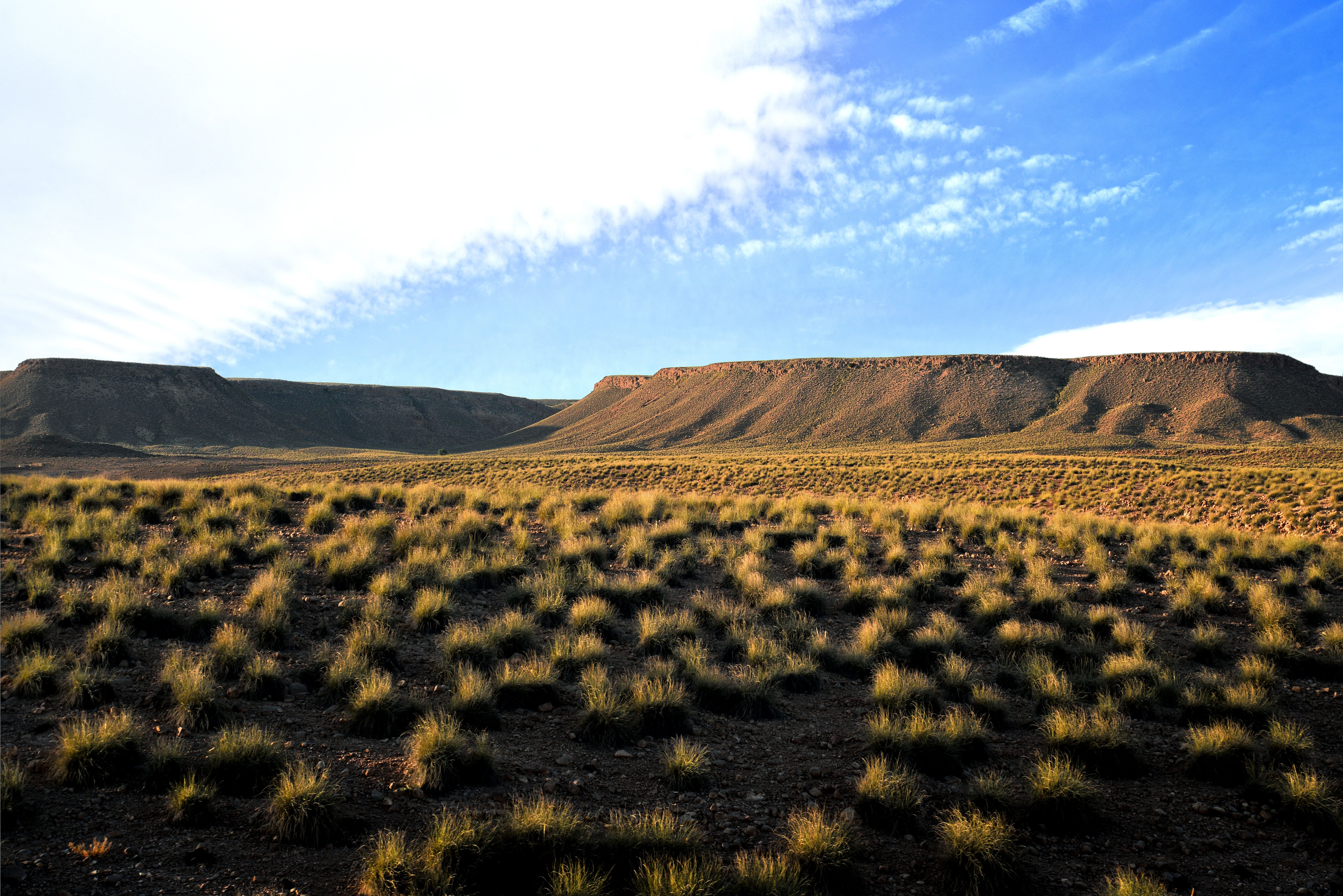 Stunning Moroccan Plateau Landscape at Sunset · Free Stock Photo