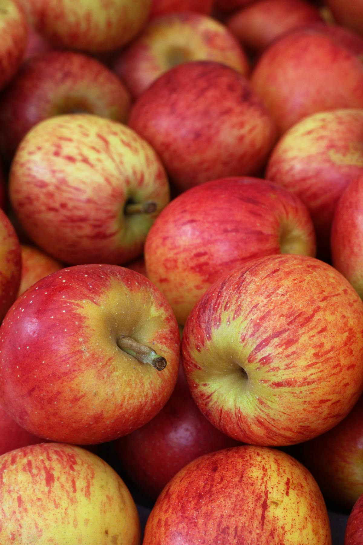 Apple Pic Photos, Download The BEST Free Apple Pic Stock Photos & HD Images