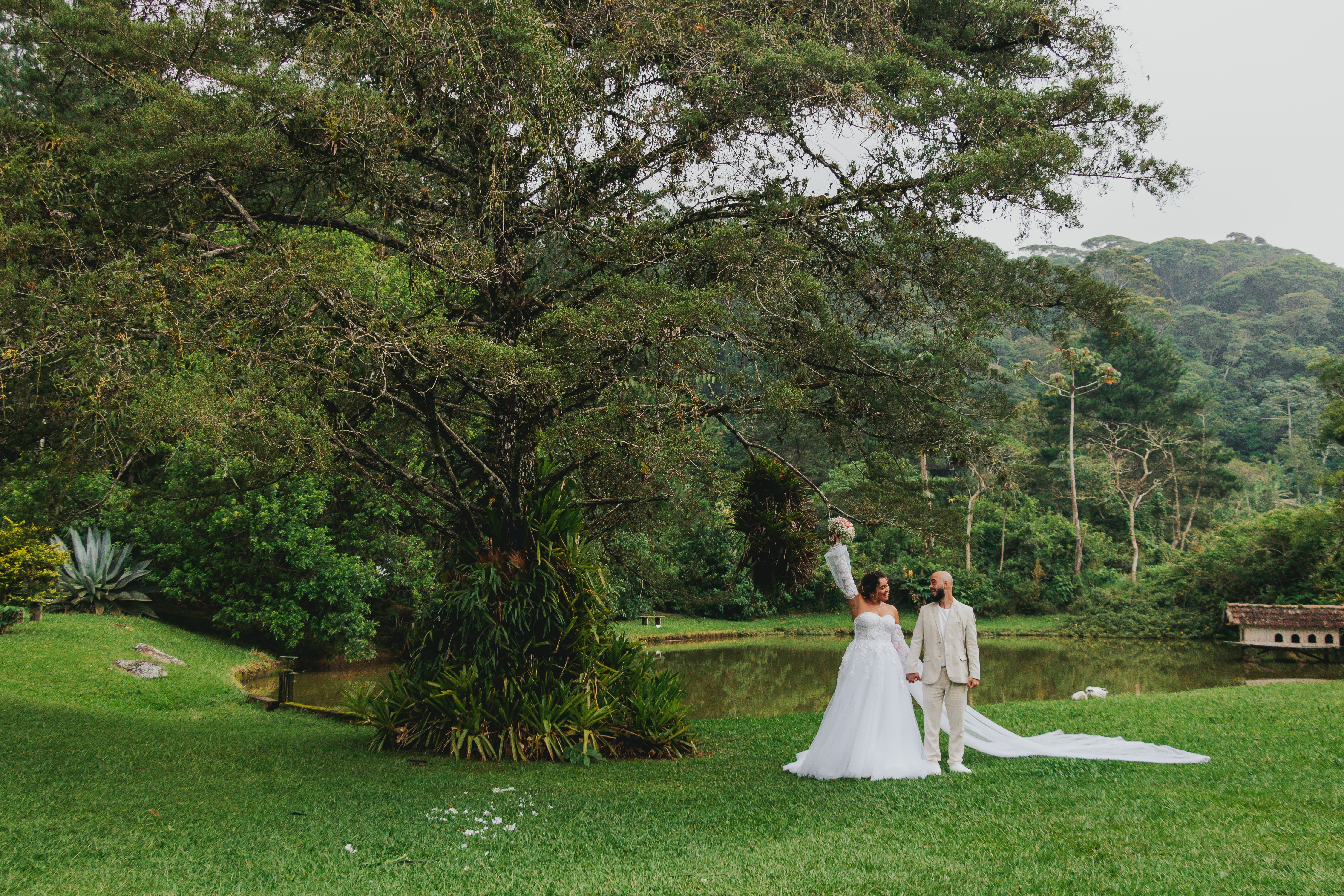Foto profissional gratuita de américa do sul, amor, ao ar livre, árvore ...