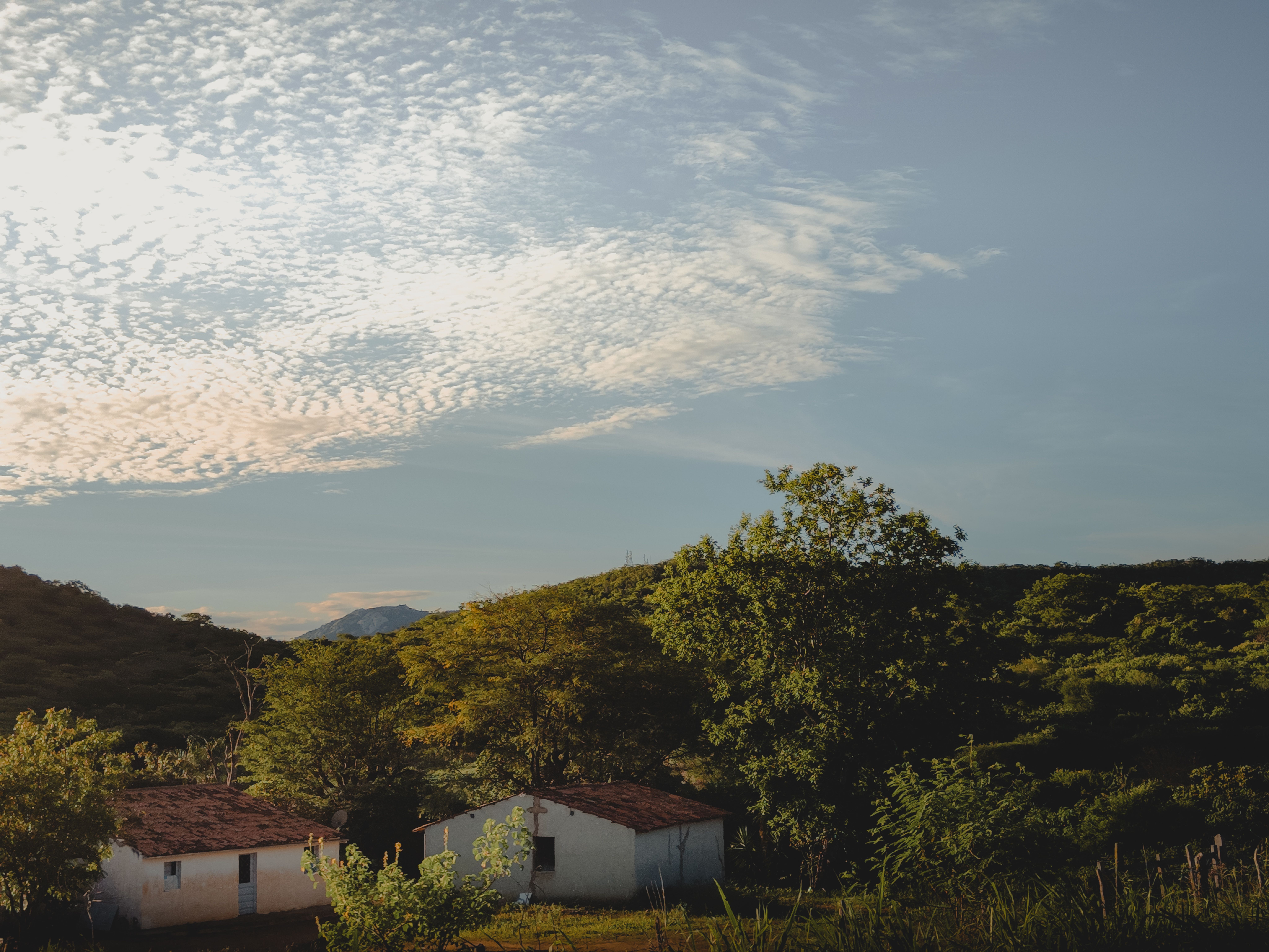 Rustic Houses in Scenic Countryside Landscape · Free Stock Photo