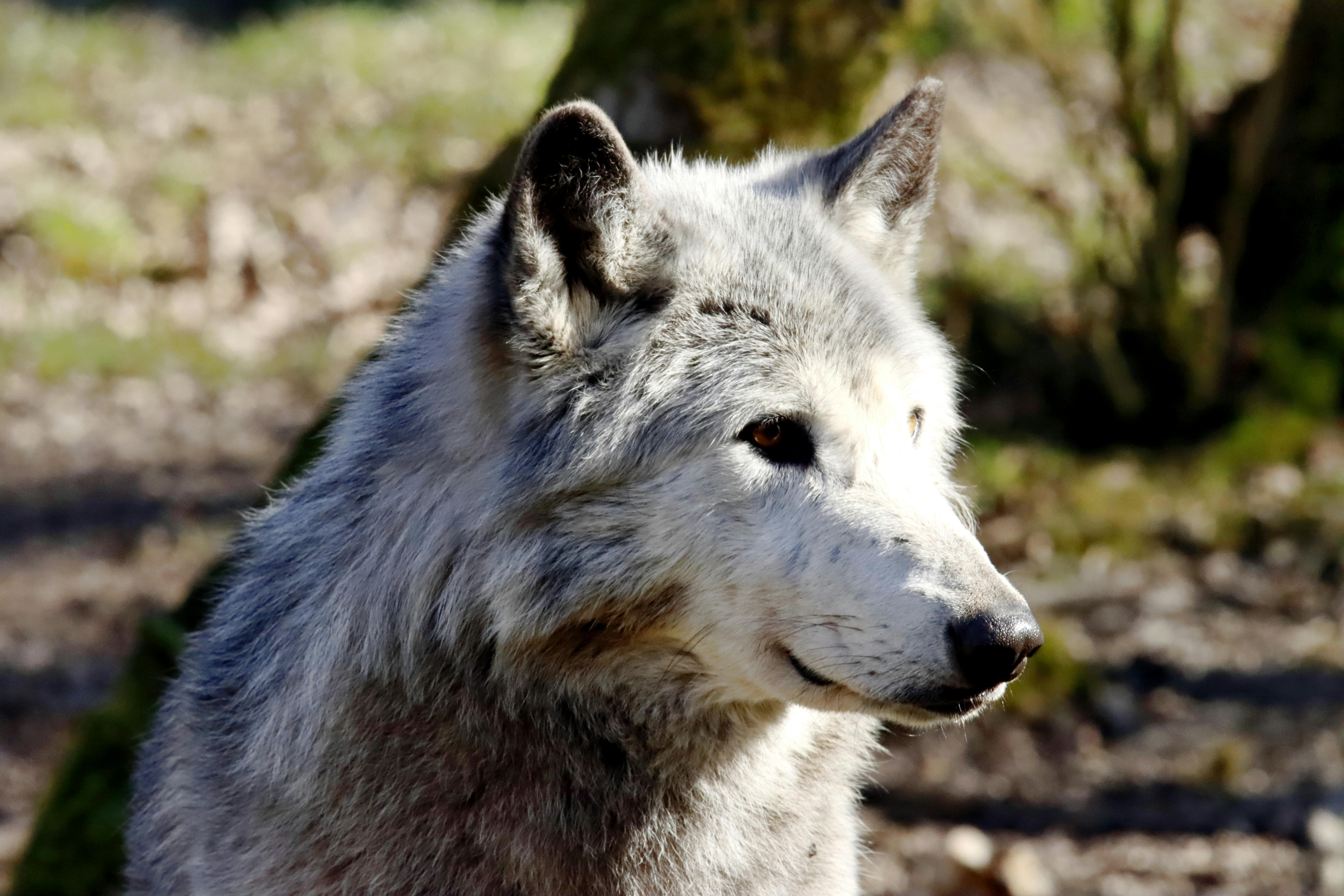 Alpha Phi Photos, Download The BEST Free Alpha Phi Stock Photos & HD Images