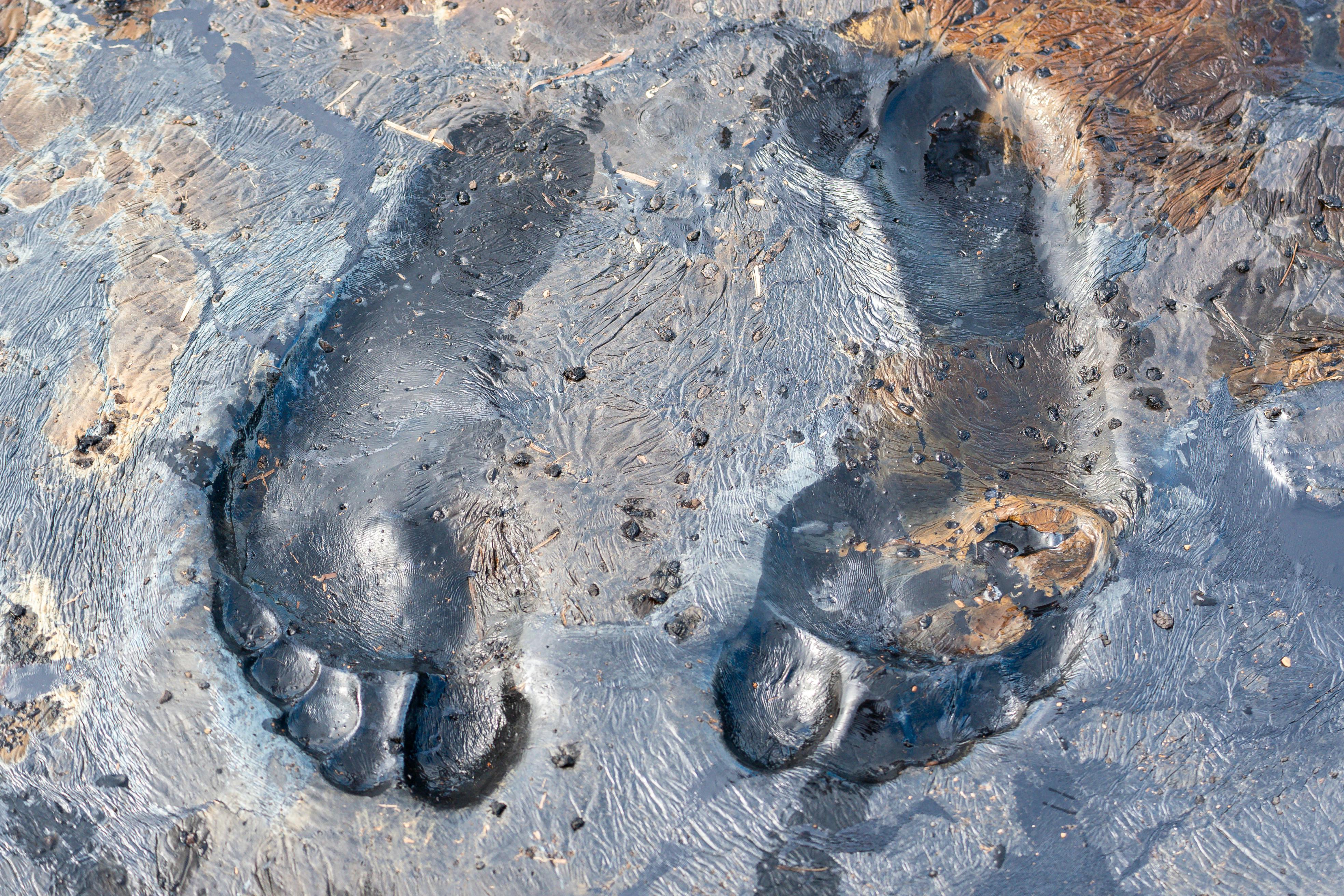 Bitumen Photos, Download The BEST Free Bitumen Stock Photos & HD Images