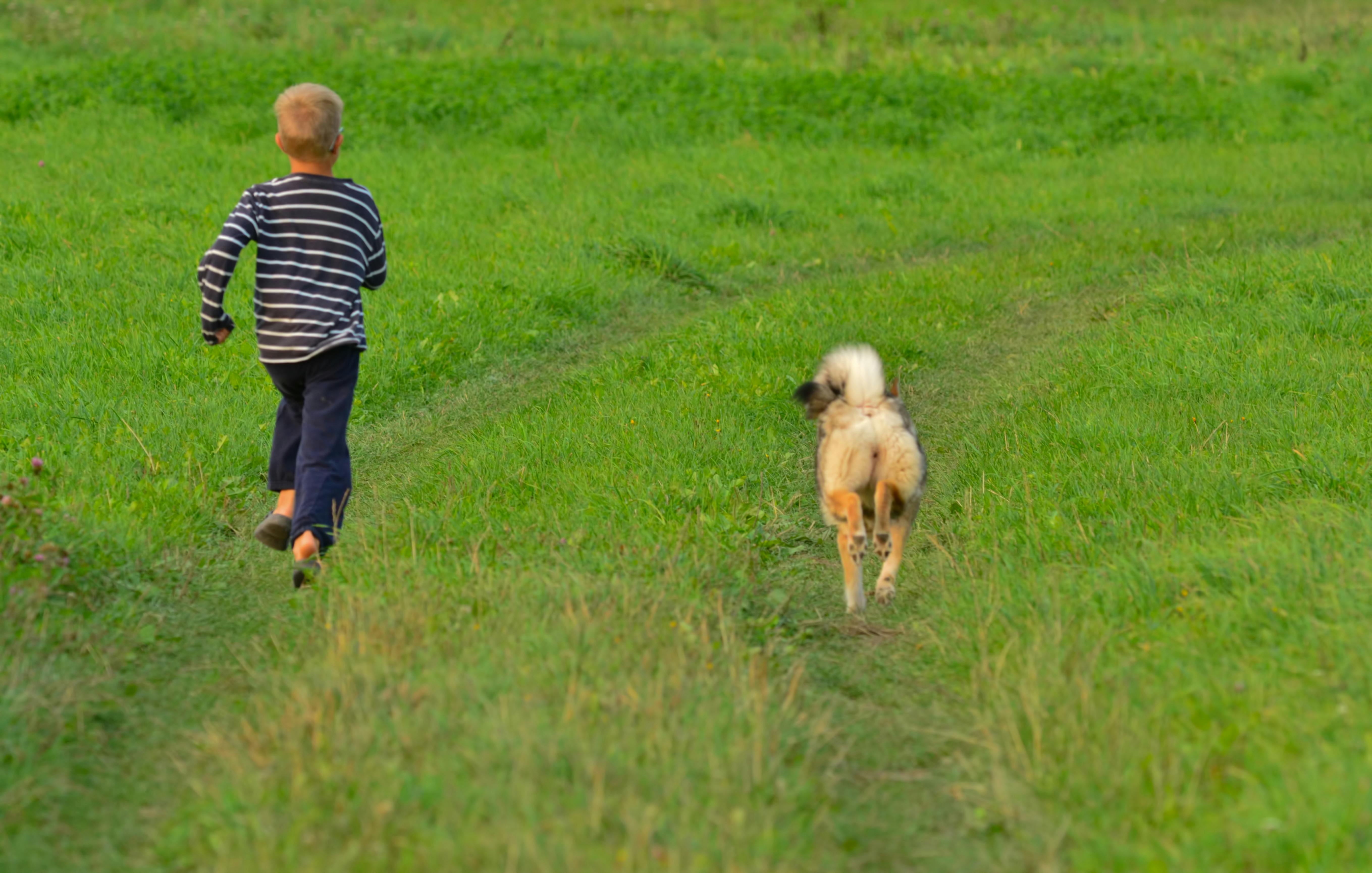 Running Motion Photos, Download The BEST Free Running Motion Stock ...