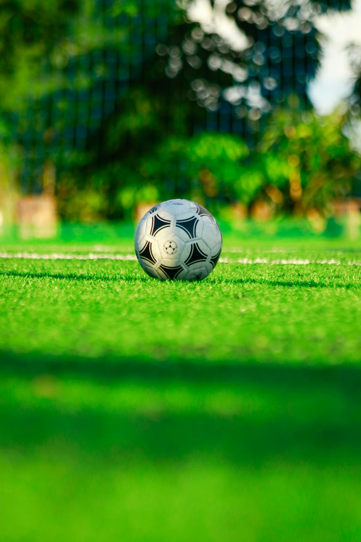 Soccer Ball Photos, Download The BEST Free Soccer Ball Stock Photos ...