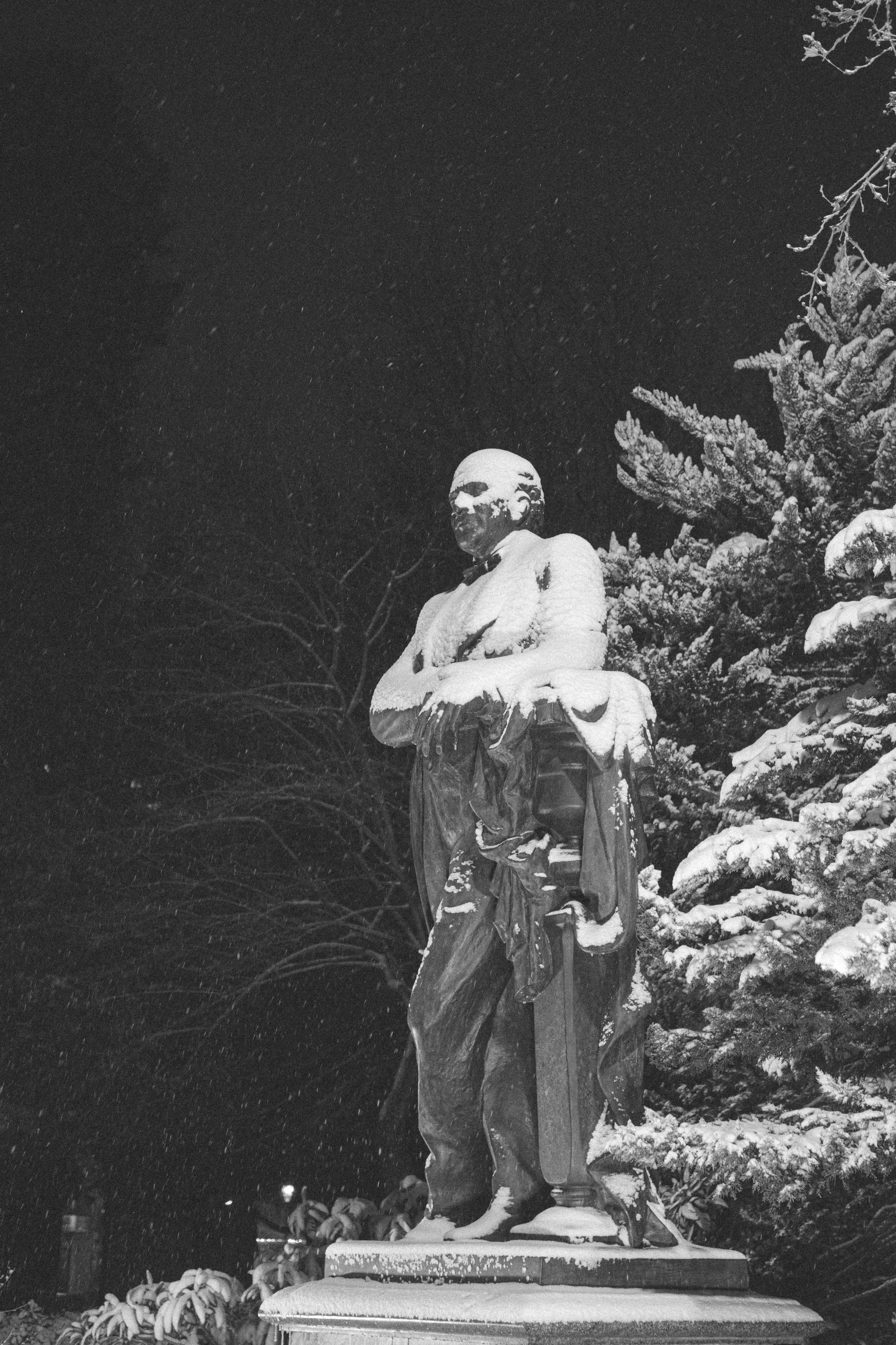 Snow-Covered Statue in Park at Night · Free Stock Photo