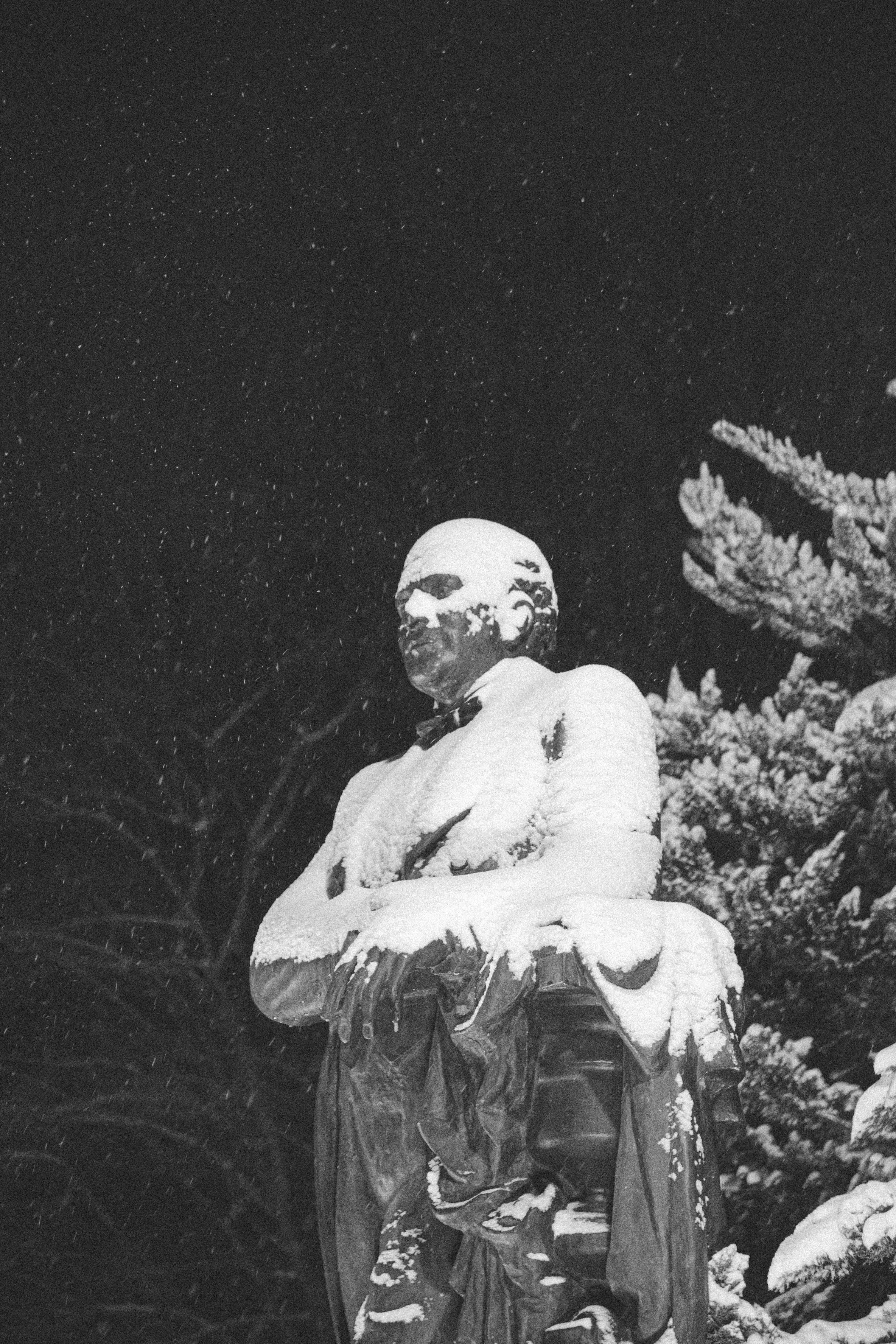 Snow-Covered Statue at Night in Winter Park · Free Stock Photo