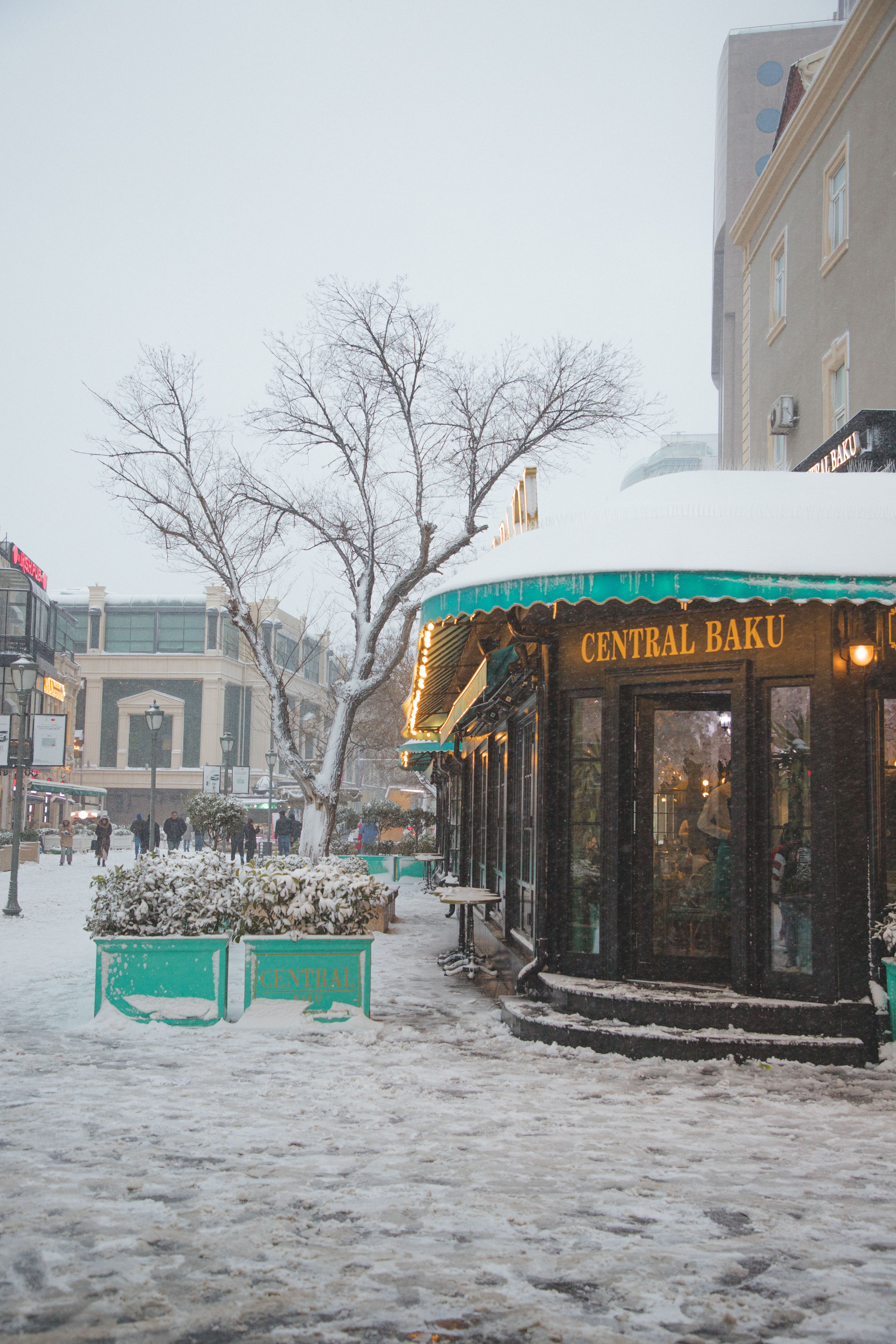 Snowy Winter Scene in Central Baku, Azerbaijan · Free Stock Photo