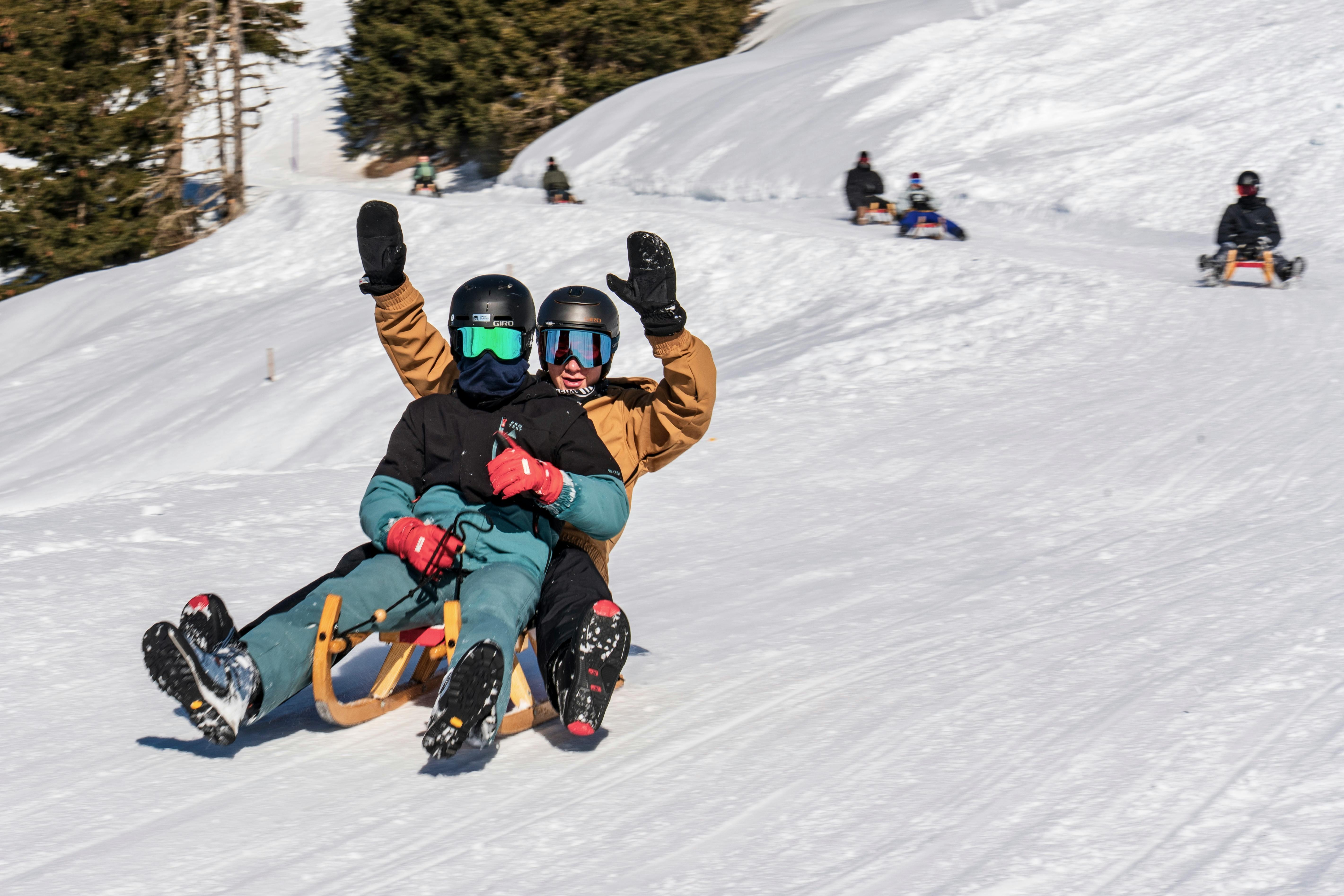 Adults Sledding Photos, Download The BEST Free Adults Sledding Stock ...