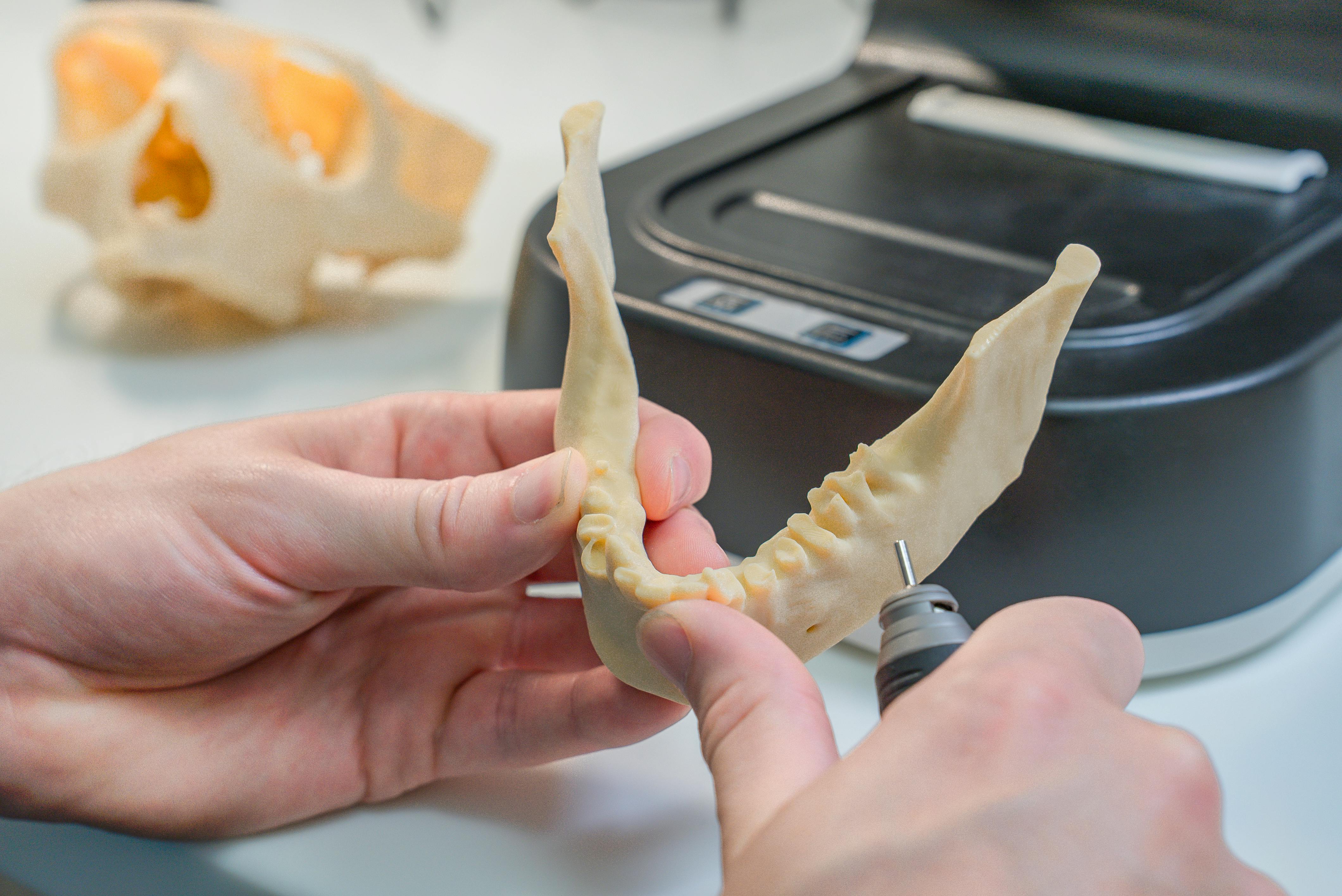 3D Printed Dental Model in Laboratory Setting · Free Stock Photo