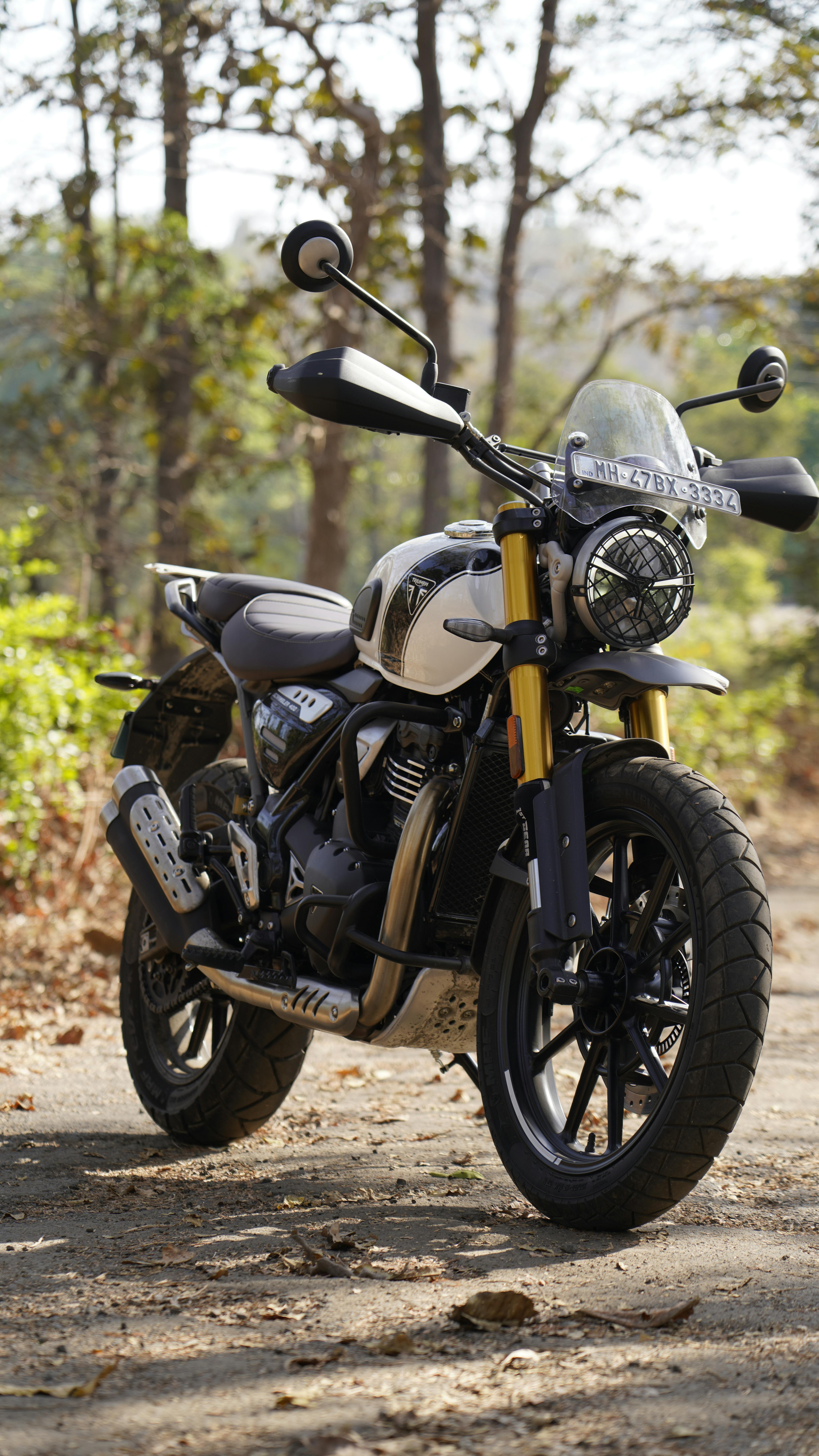 Rugged Motorcycle on Scenic Forest Path · Free Stock Photo