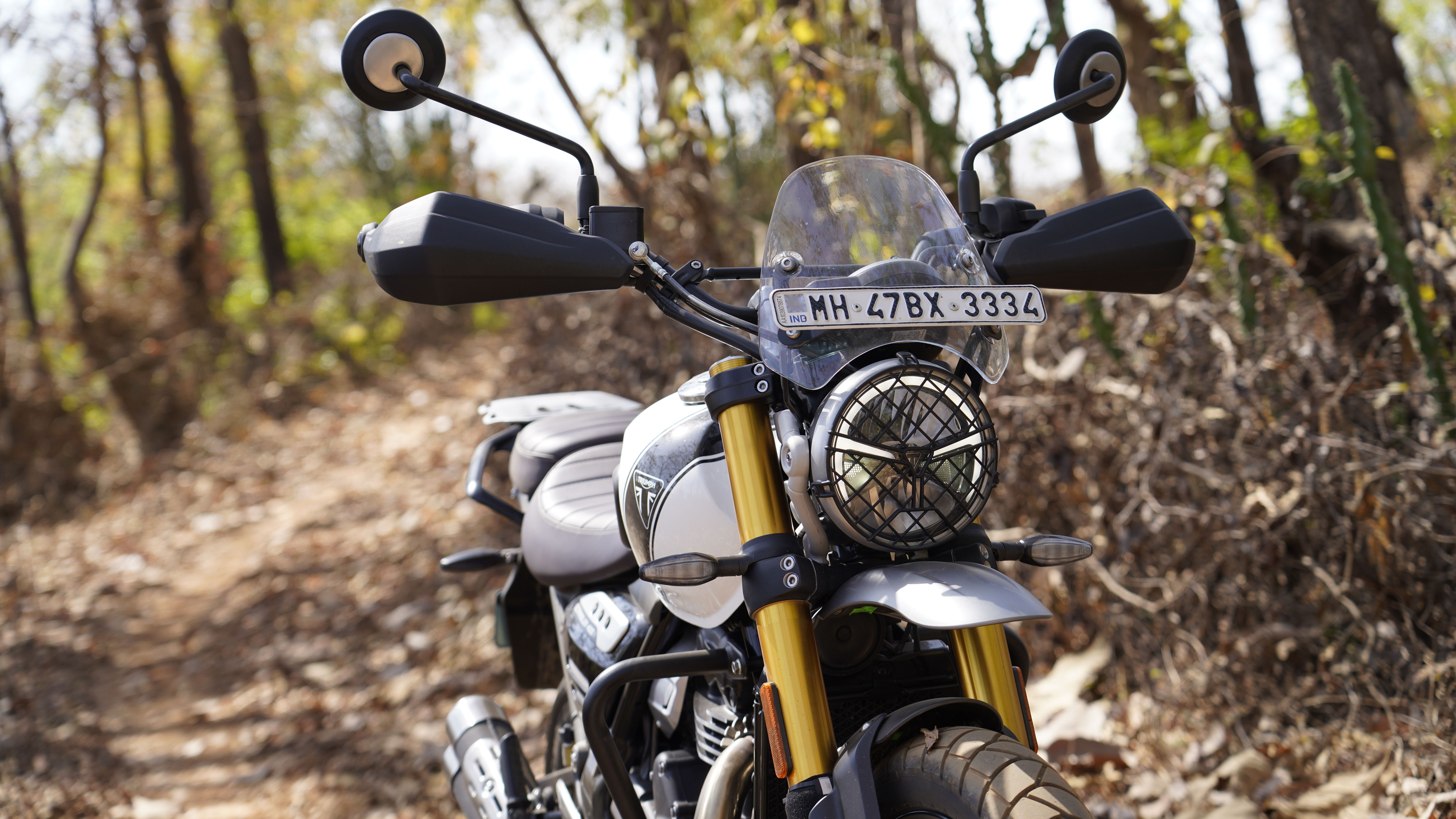 Adventure Motorcycle on Forest Trail · Free Stock Photo