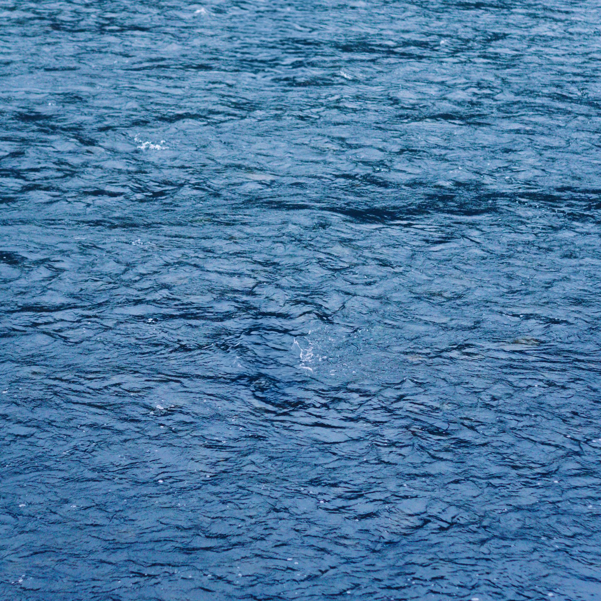 Freshwater Background Photos, Download The BEST Free Freshwater ...