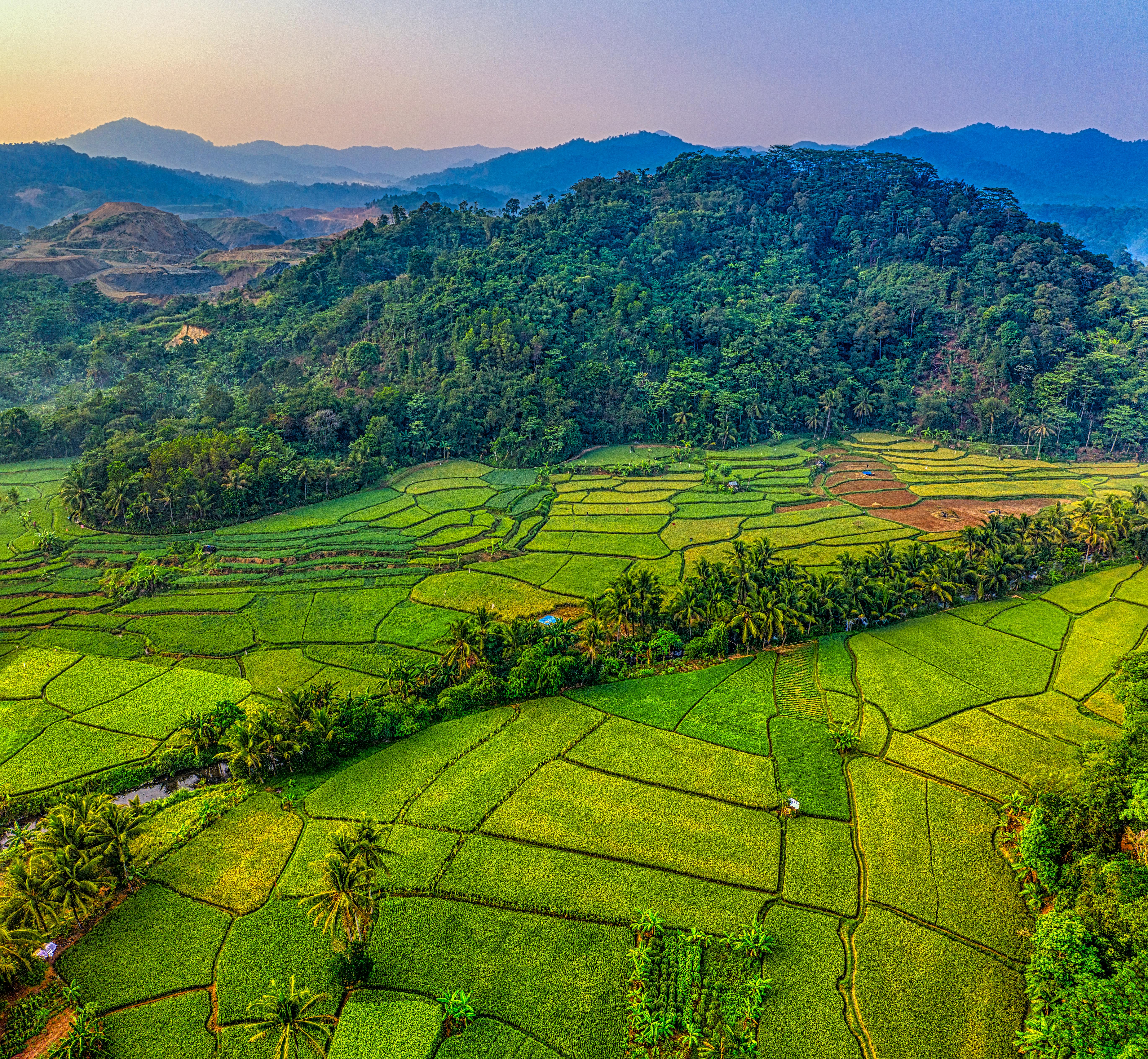 Aerial Shot Of Cropland · Free Stock Photo