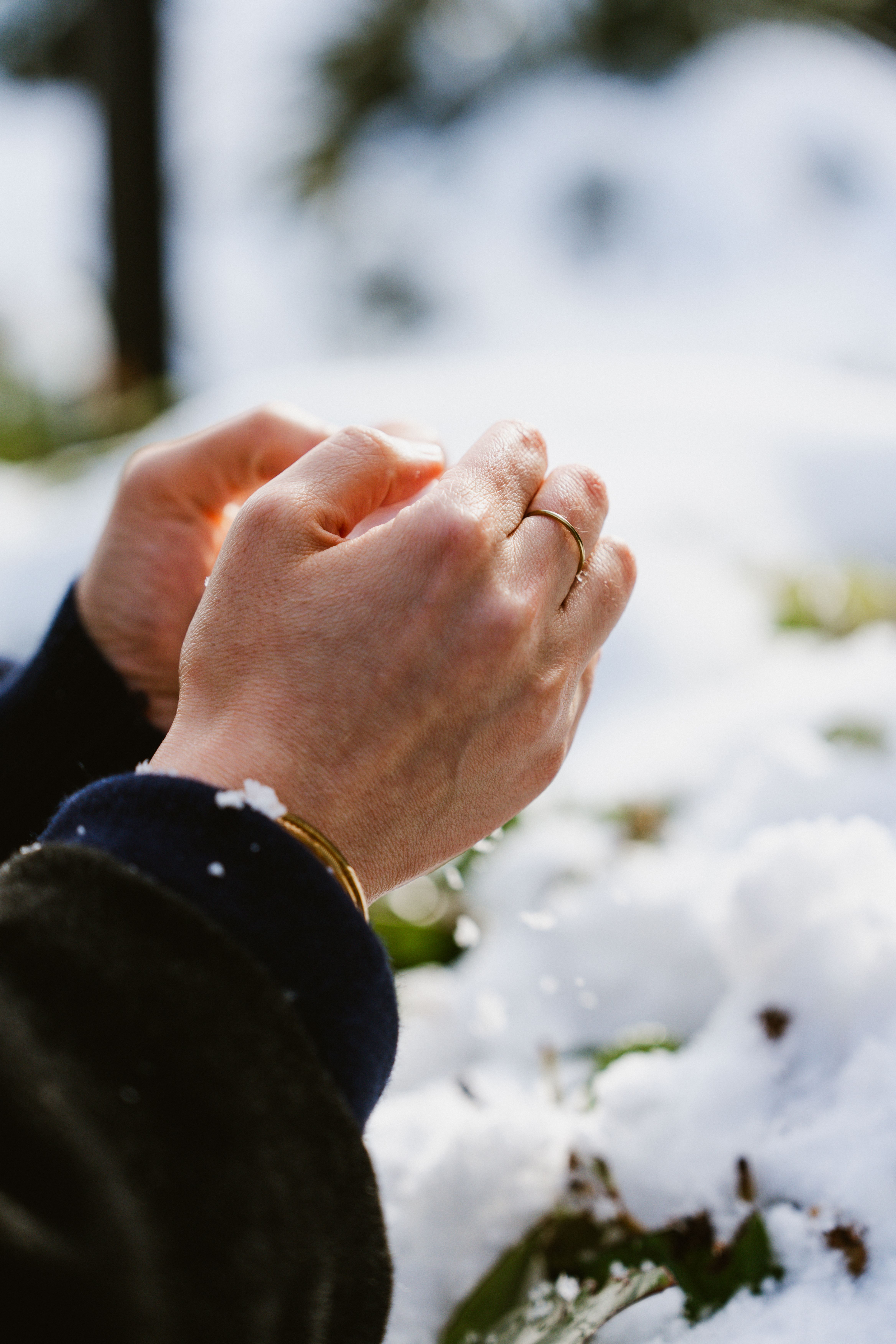 Close-up of Hands in Snowy Winter Landscape · Free Stock Photo