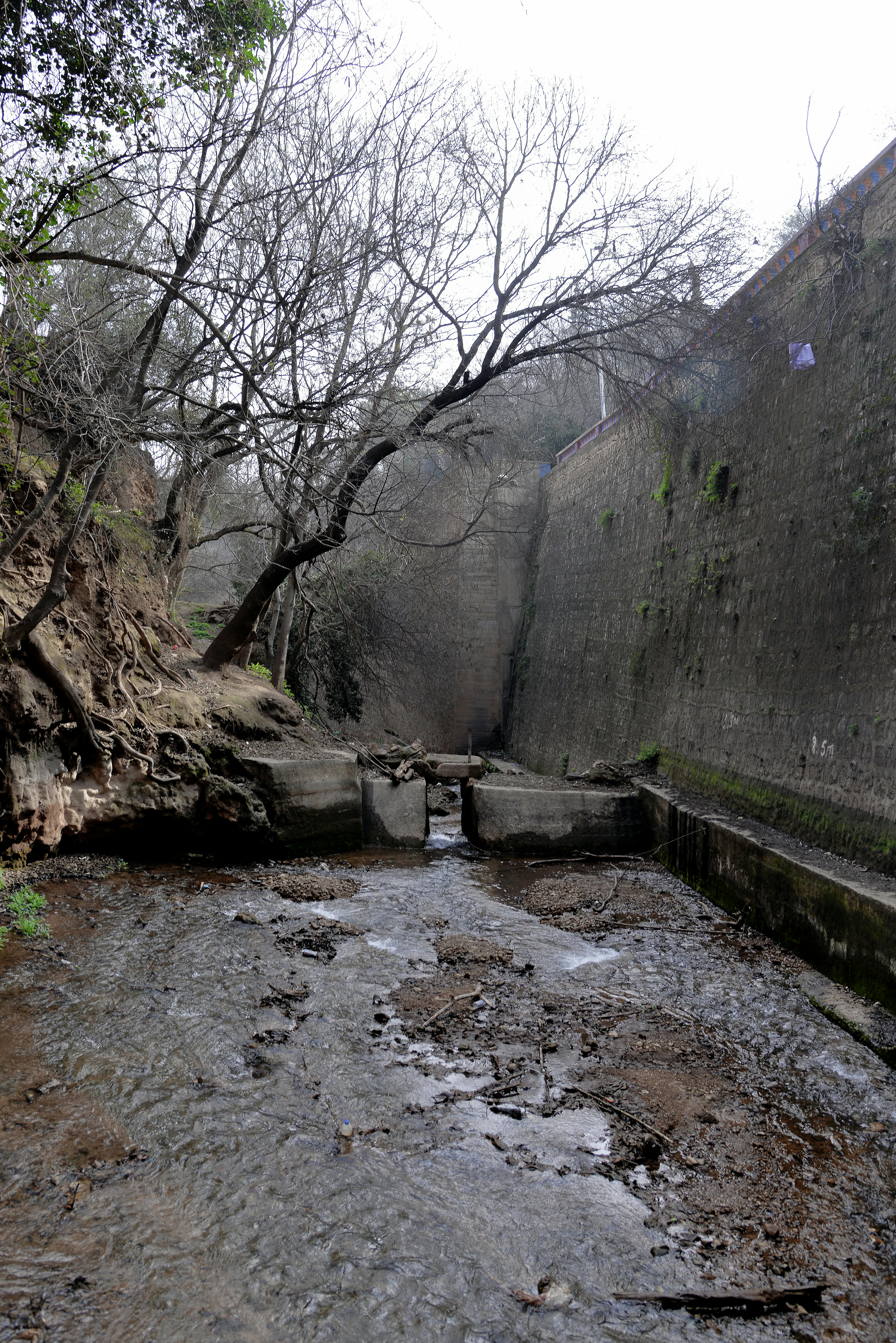 Tranquil Stream by Stone Walls in Sefrou, Morocco · Free Stock Photo