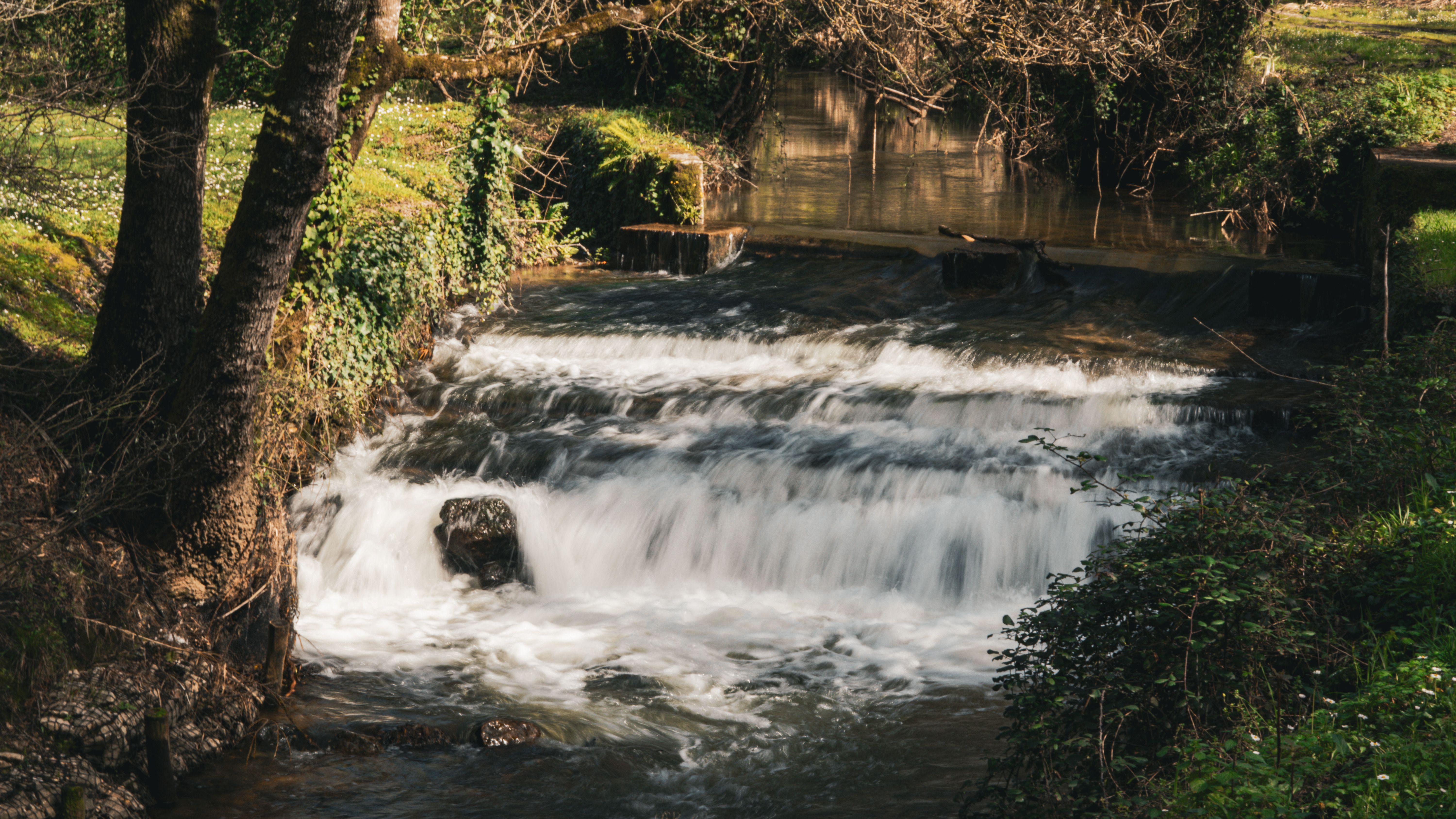 Scenic Waterfall in Lush Forest Setting · Free Stock Photo